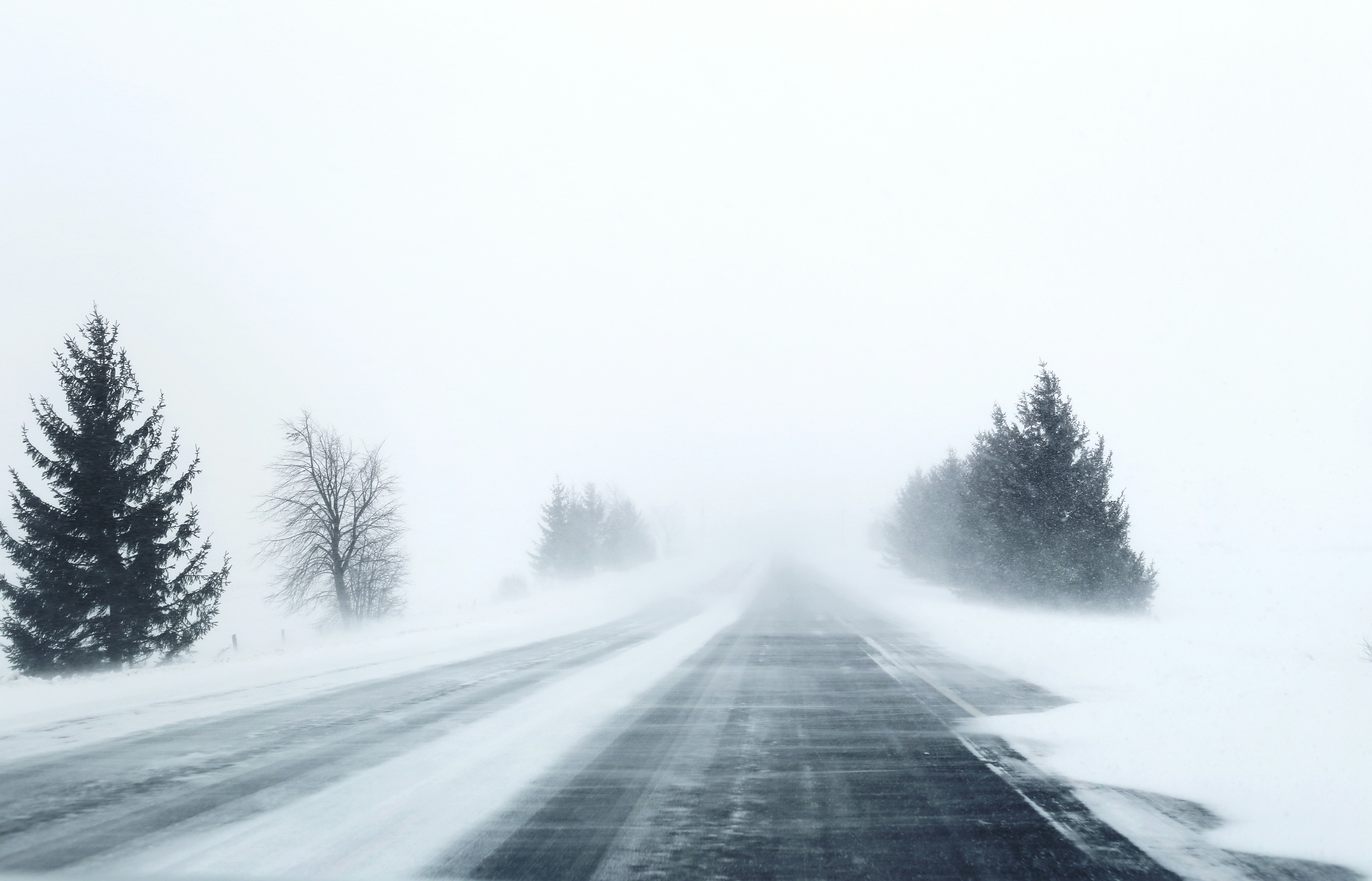 Lidia Vi (@lidiavi) | Comunidad de fotos de Unsplash