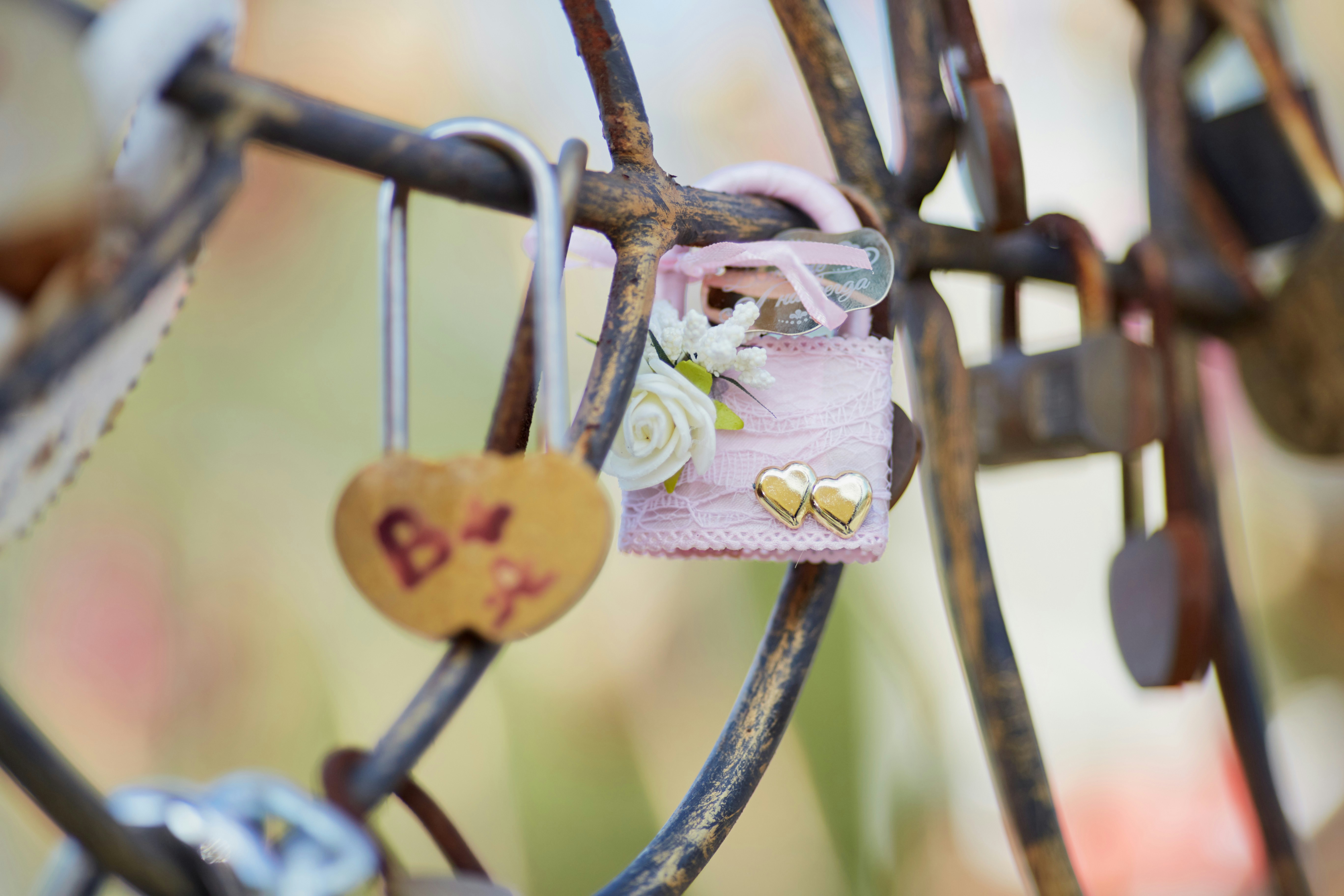 Lovers’ Locks in Soft Focus: A Pink Padlock Among Wrought Iron