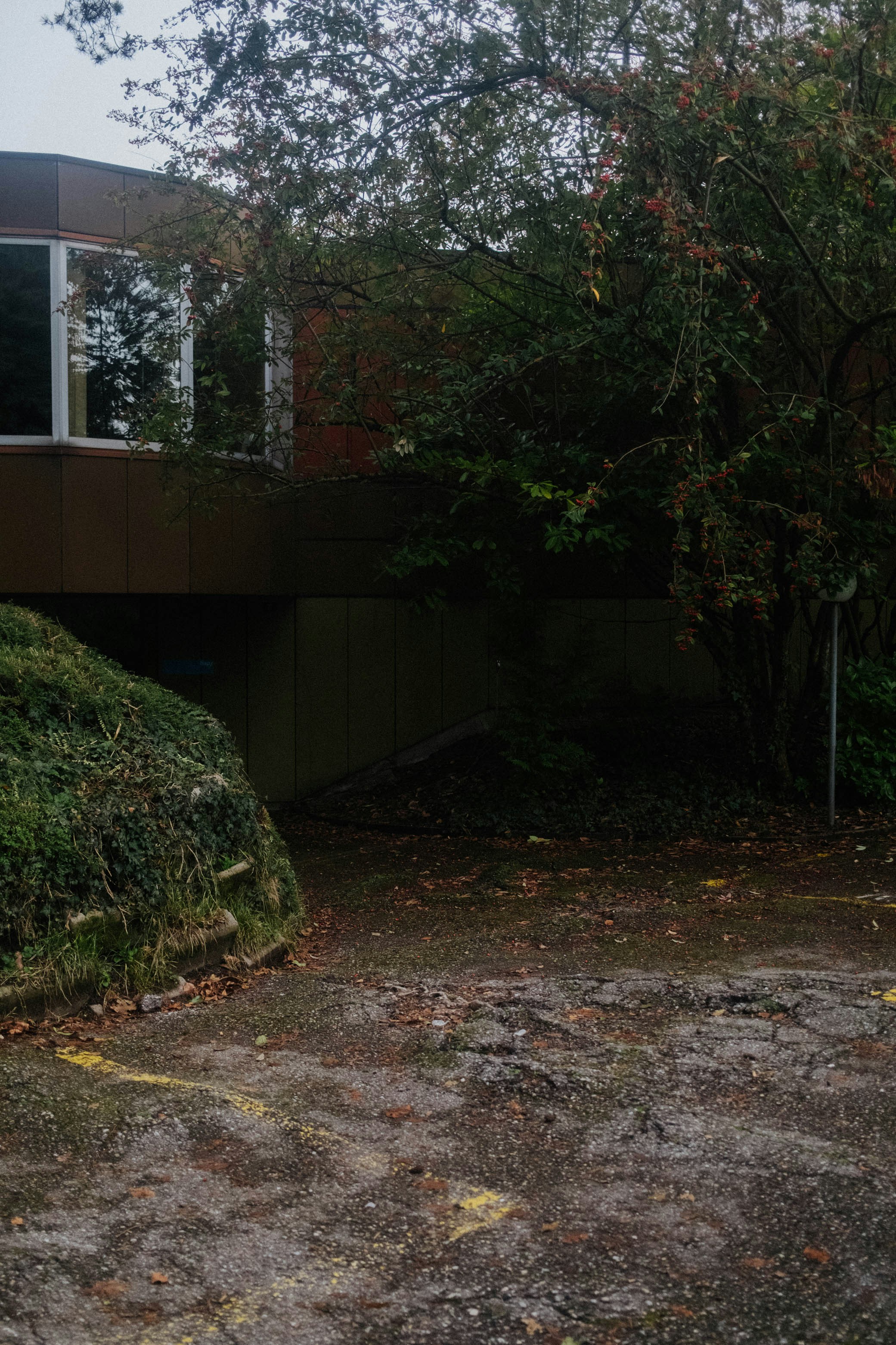 Autumn Foliage Framing a Quiet Campus Courtyard