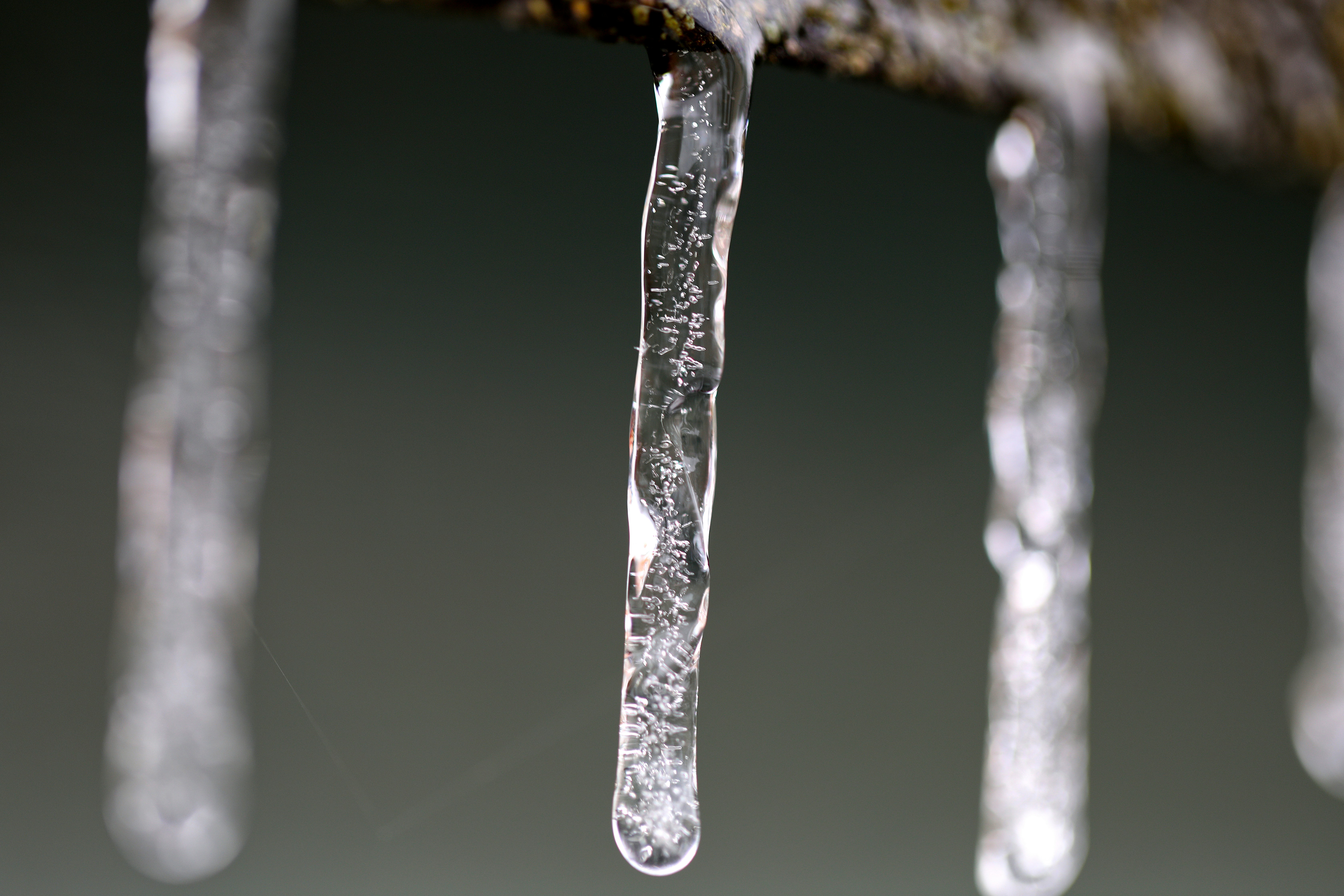 Icicles hanging from a branch, glistening in soft light against a blurred background.