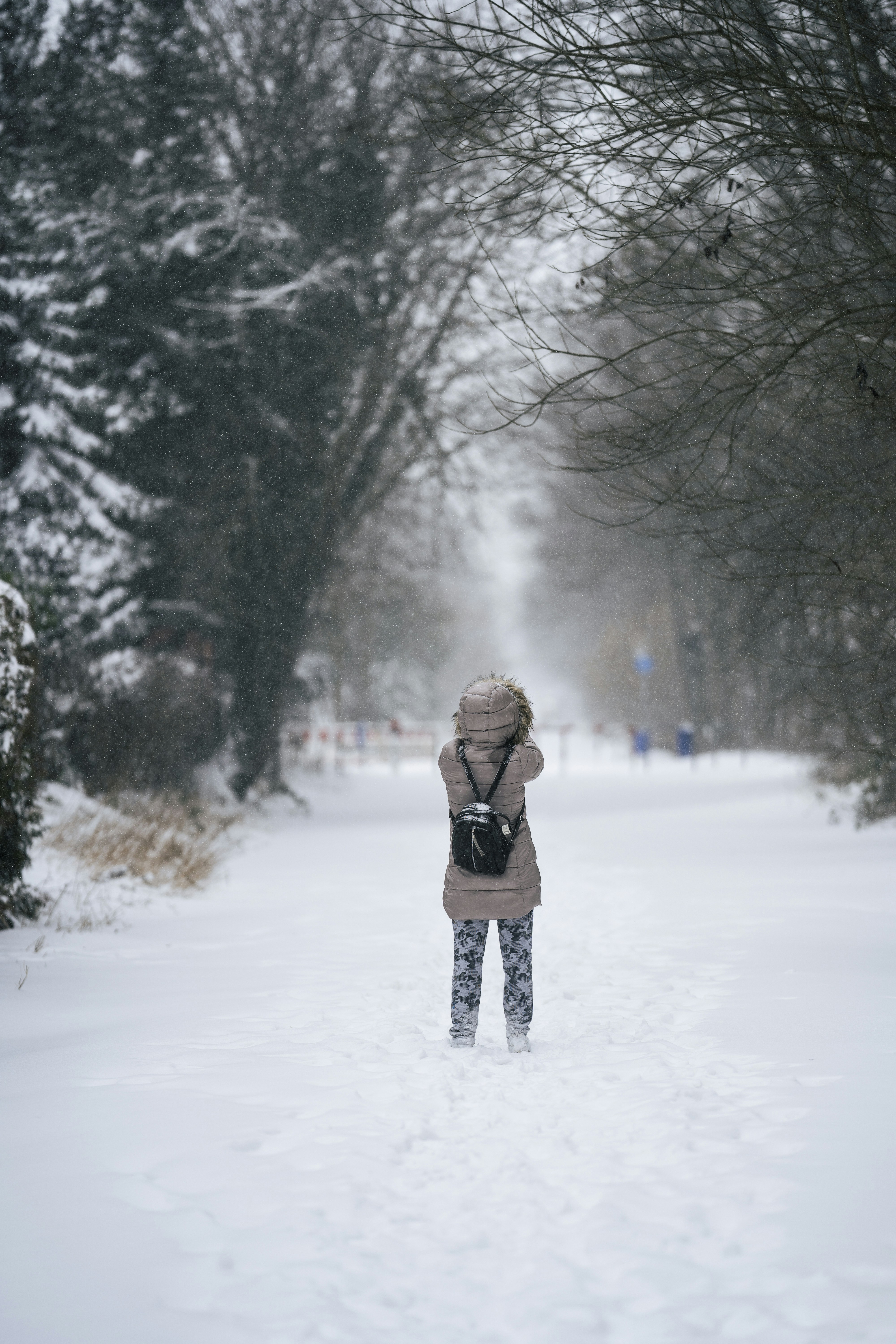 Person standing on a snow-covered path surrounded by trees in a winter landscape. Snowfall creates a serene atmosphere.