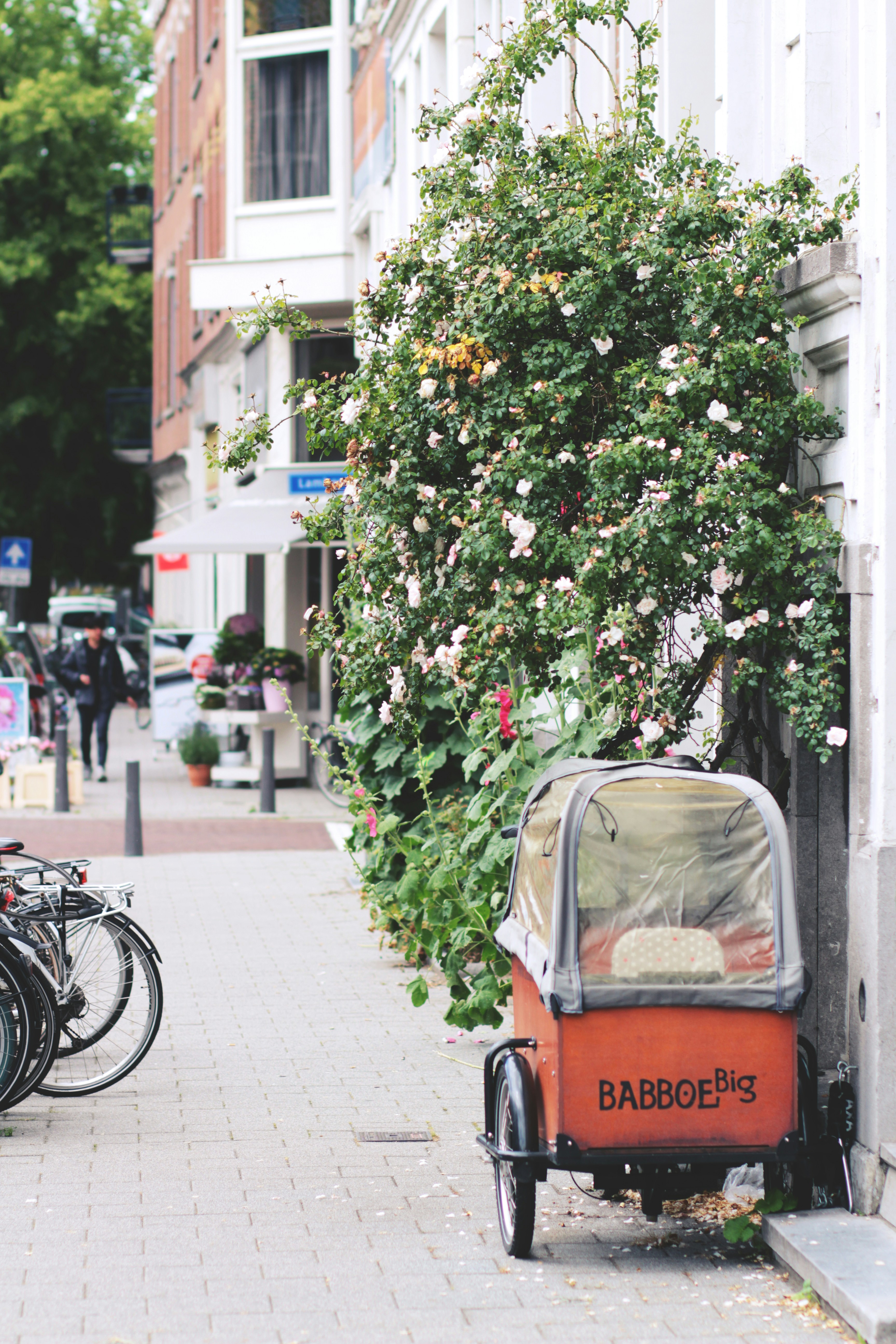 A charming cargo bike parked against a wall adorned with vibrant flowers in an urban setting. The scene captures the essence of city life blended with nature.