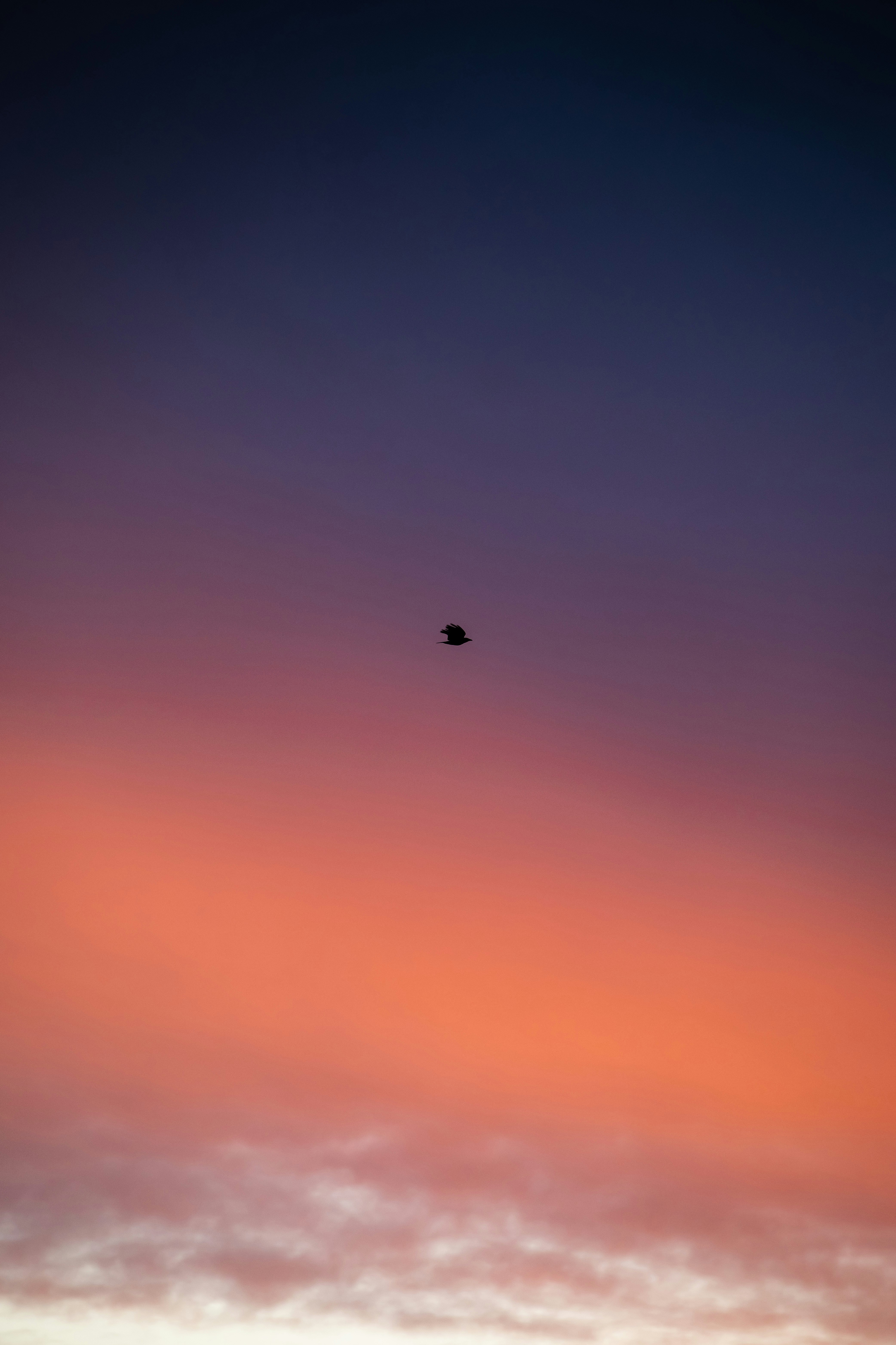 A solitary bird glides across a vibrant sky painted in hues of purple and orange during sunset.