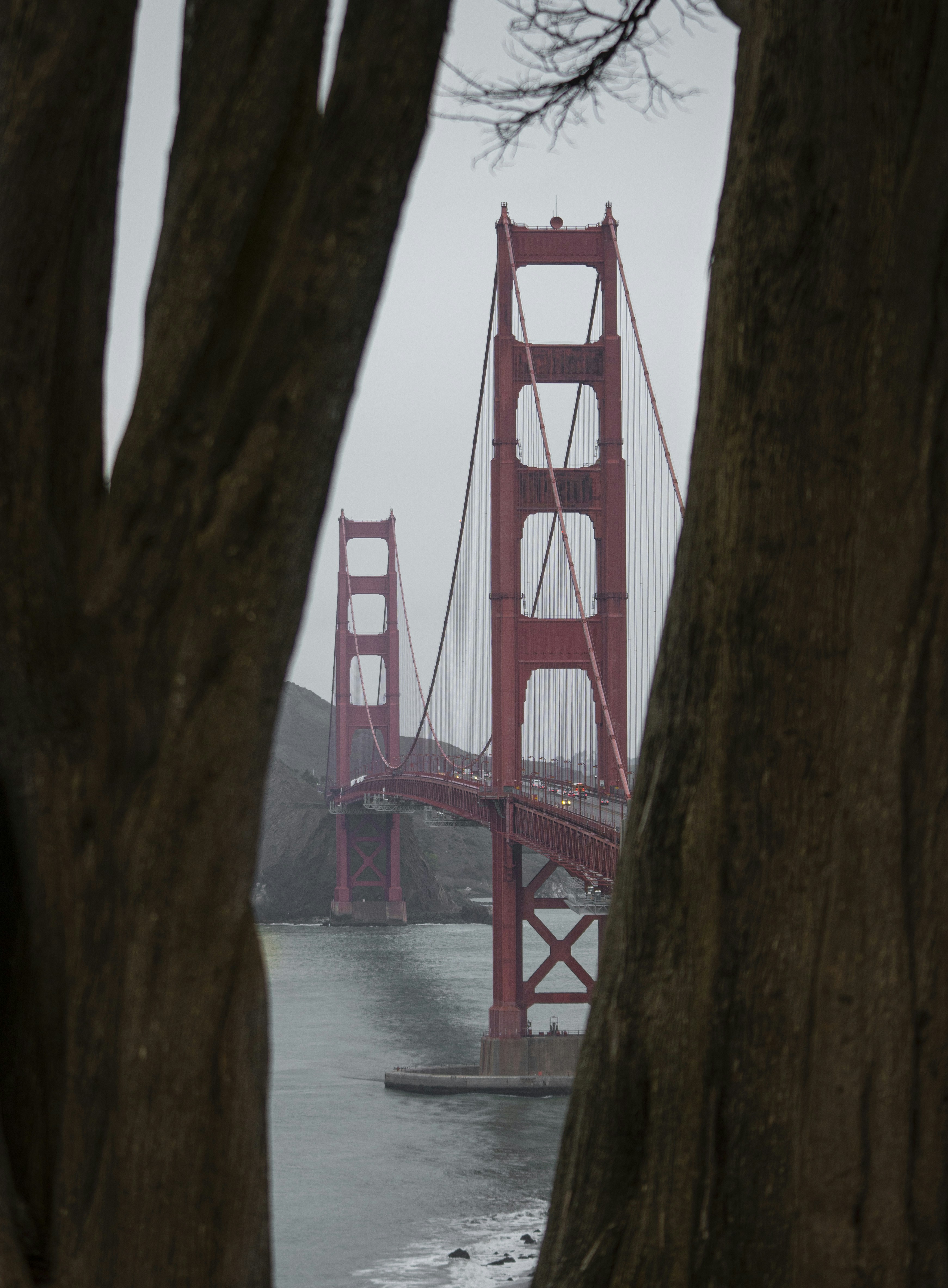 Crimson Gateframe: The Golden Gate Framed by Forest Giants