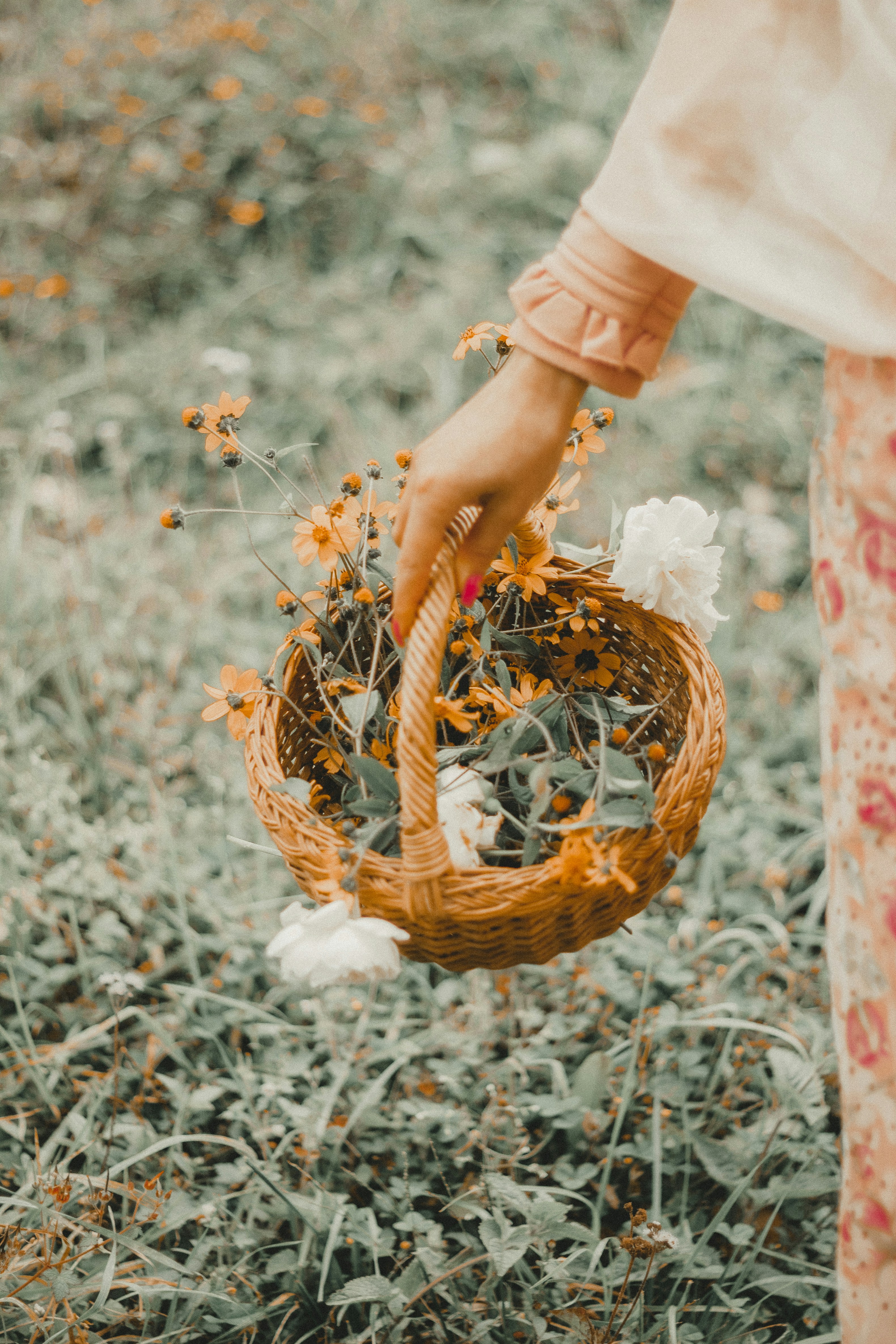 Hand holding a woven basket filled with vibrant flowers, surrounded by a lush green field. The scene evokes a sense of tranquility and connection to nature.