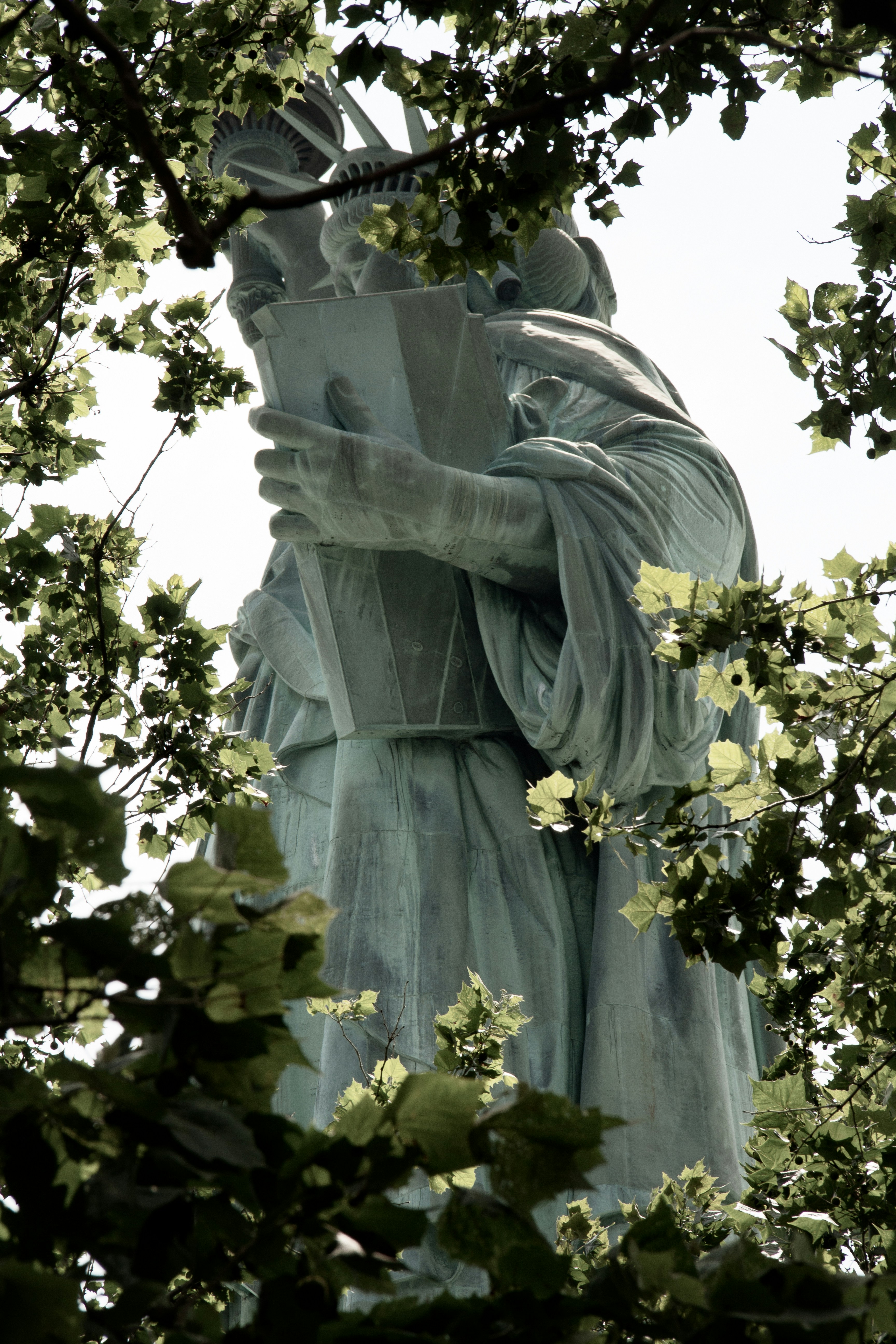 Leaves and Liberty: A Quiet Tablet Moment