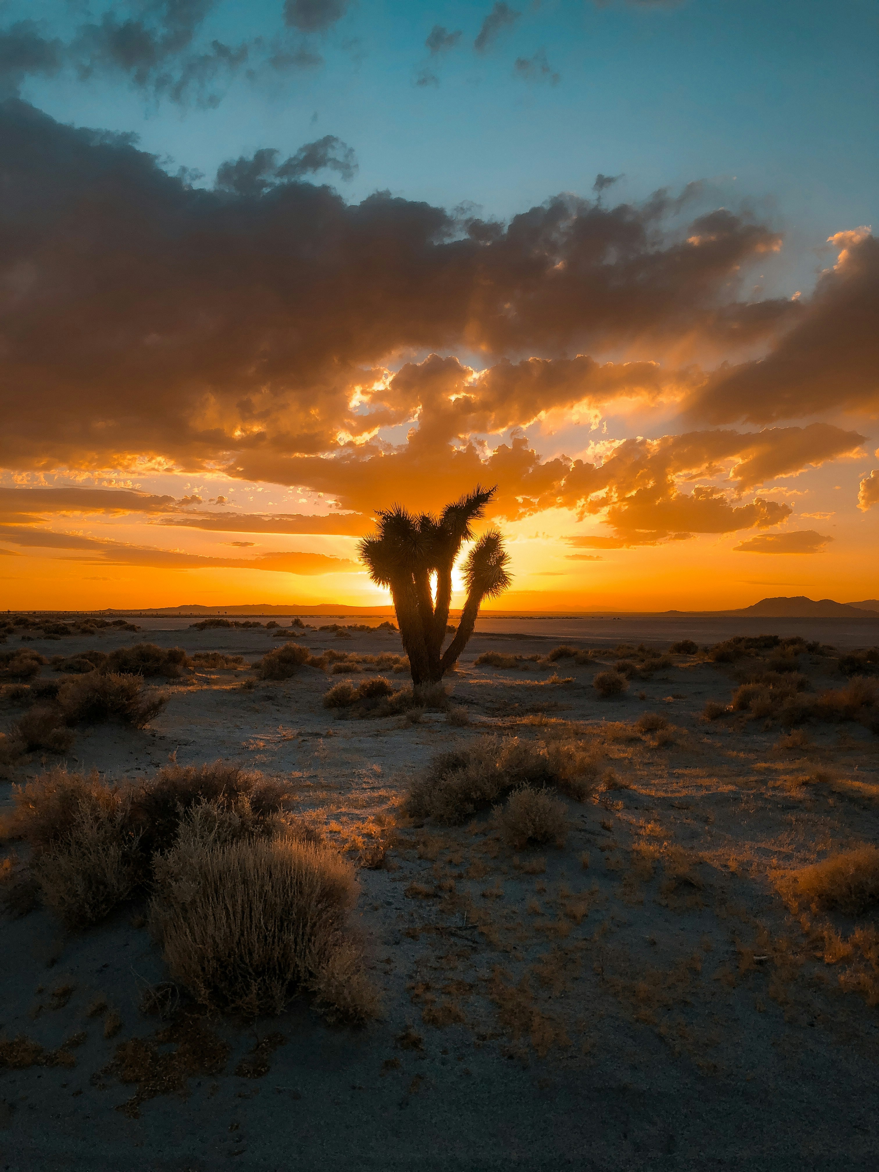 999+ Desert Sunset Pictures | Download Free Images on Unsplash