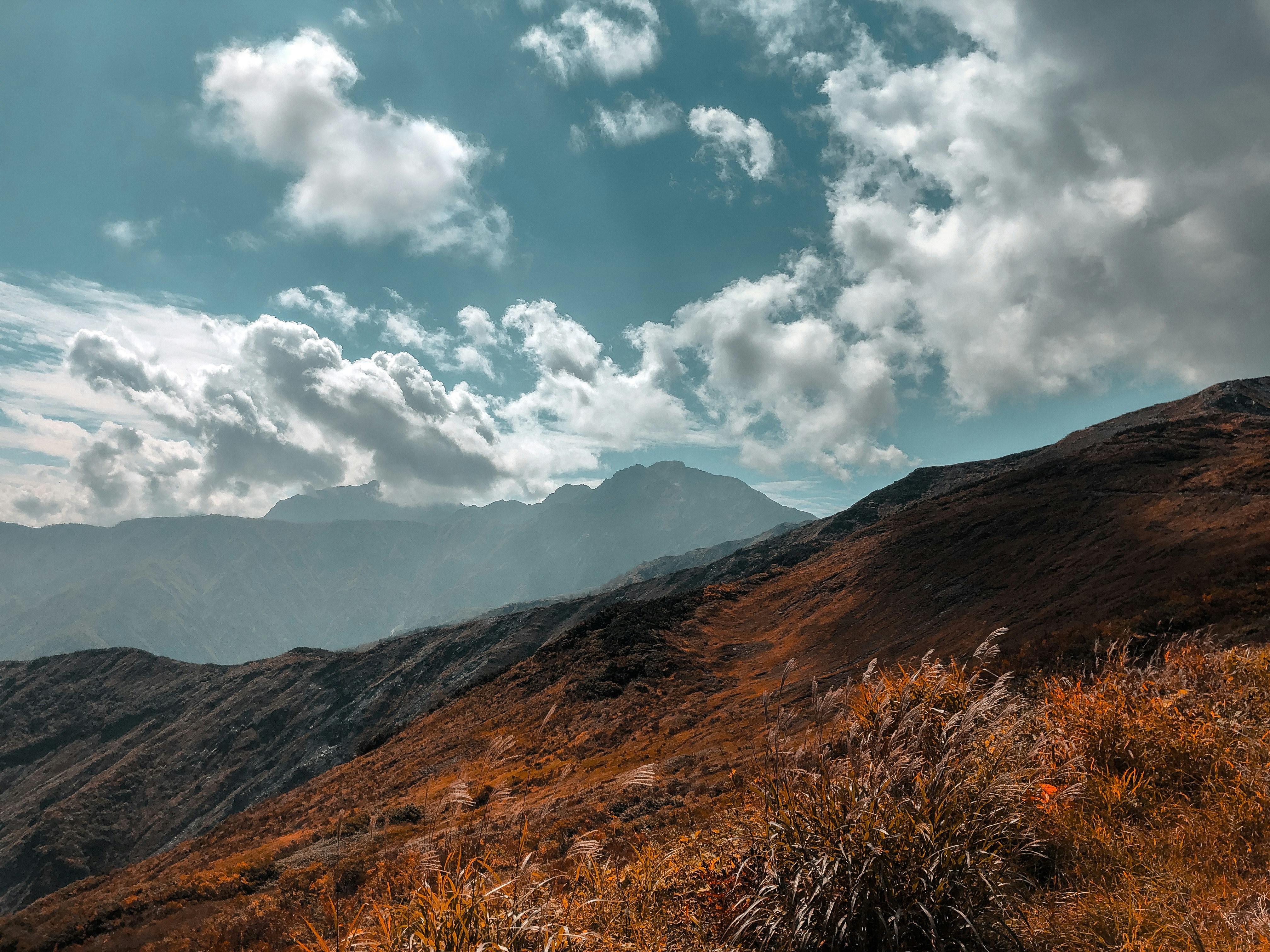 Golden grasses sway gently on a mountainous landscape under a dynamic sky filled with clouds. The scene captures the serene transition of seasons.