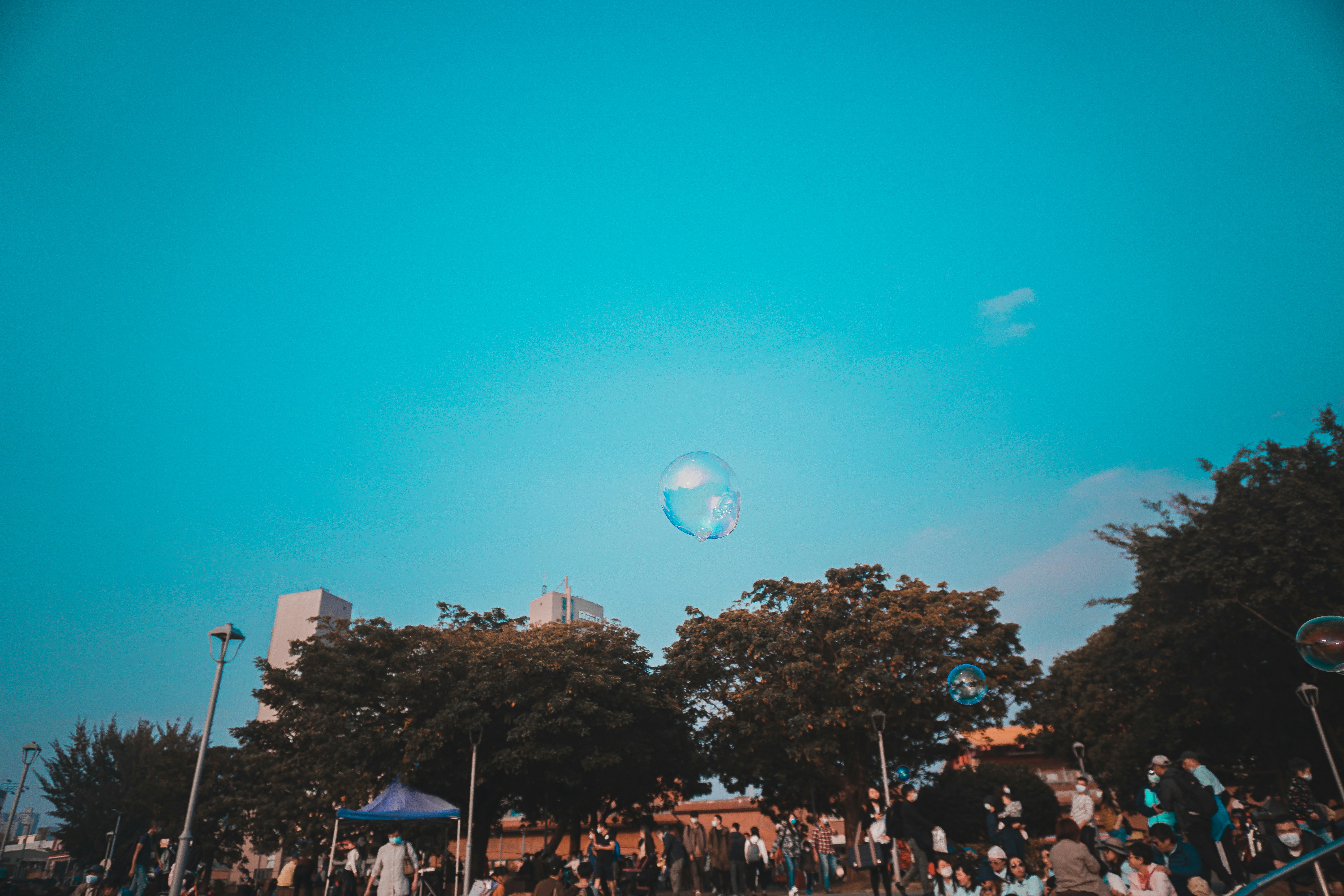 Floating Orbs Over a Sunlit City Park
