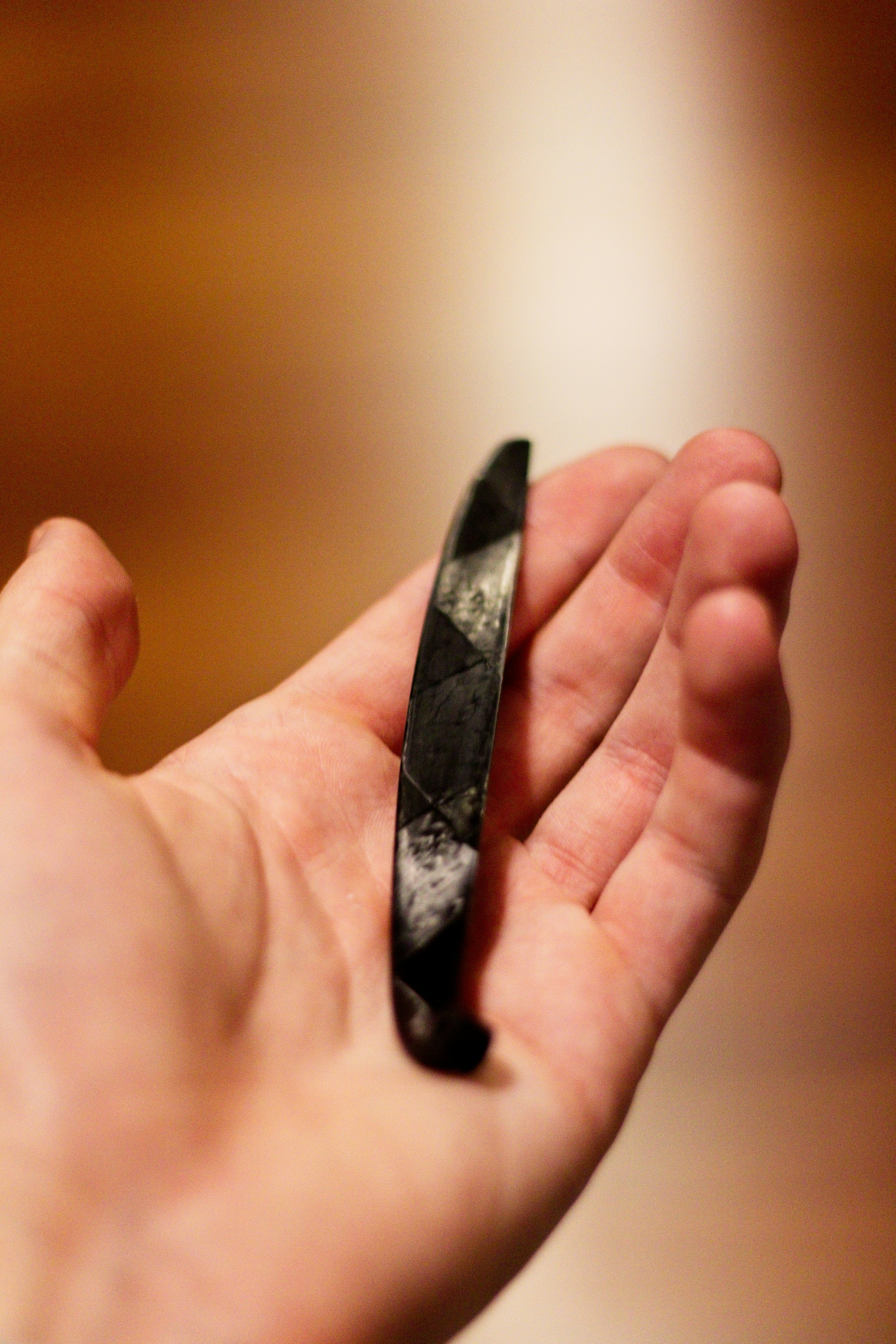 Fly me away | person holding silver nail cutter