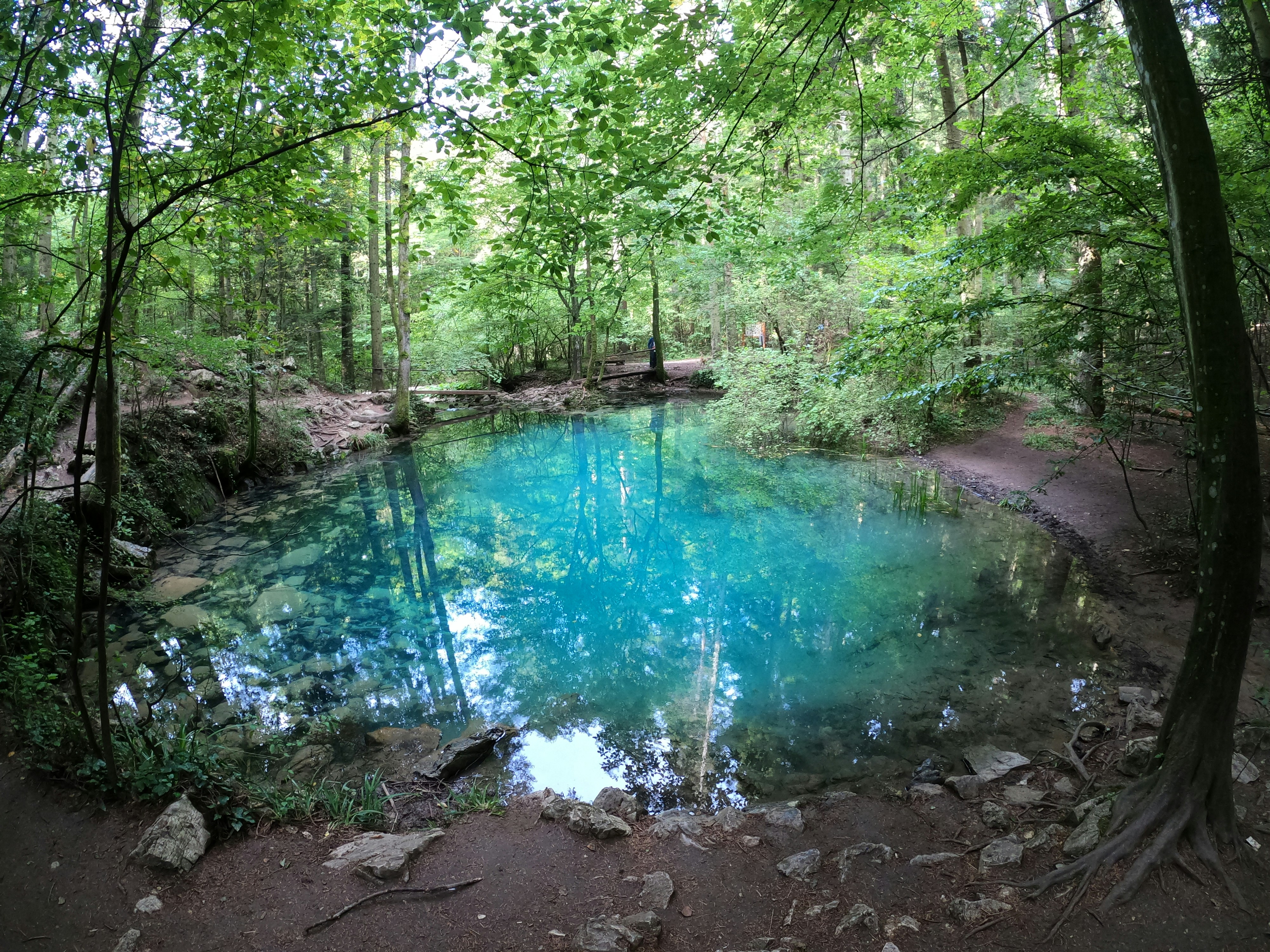 Turquoise pool mirrors the surrounding forest, framed by rocks and a dense canopy. This photograph captures the tranquil woodland scene.
