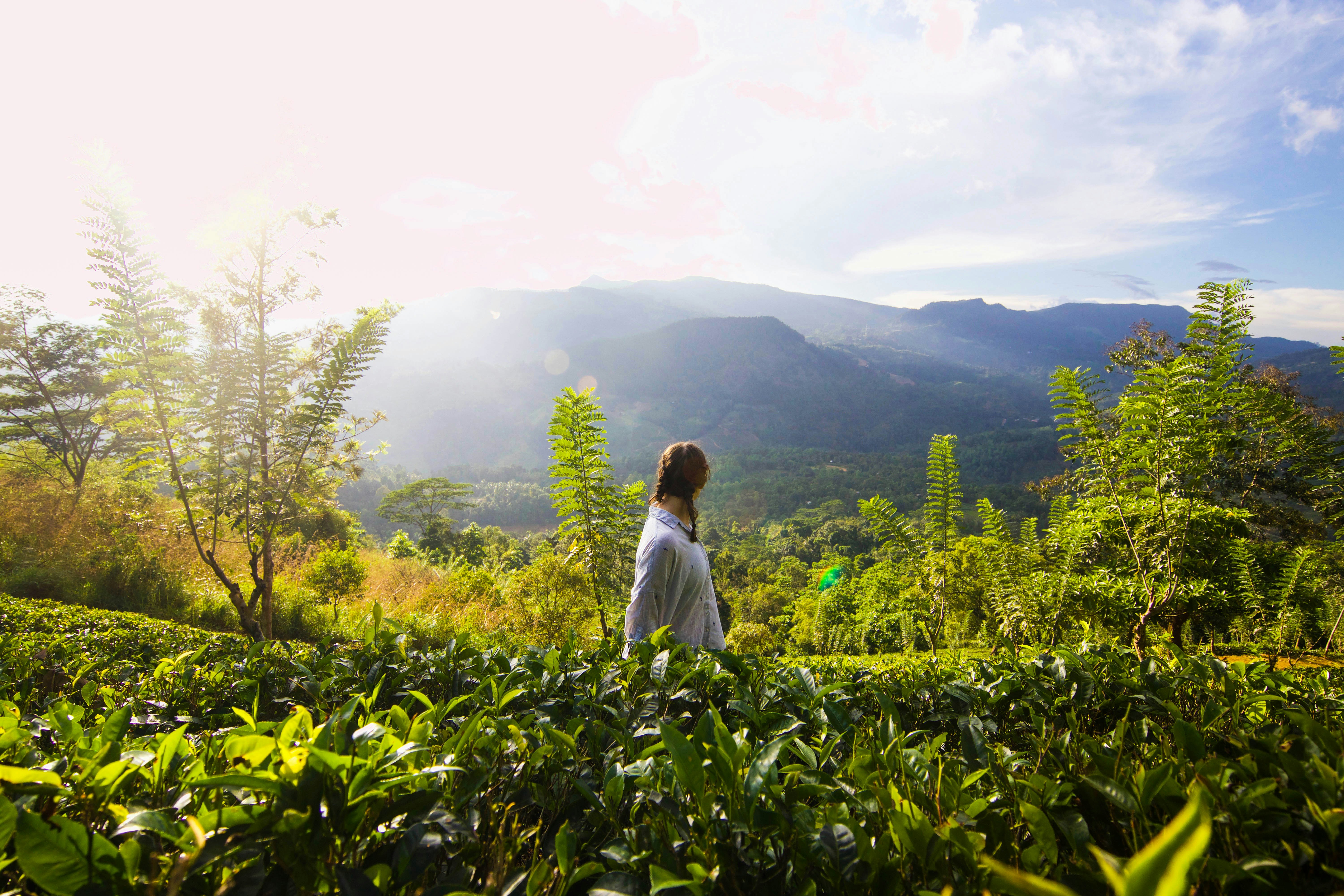 Person in a white shirt walking through lush green fields under a bright sky.