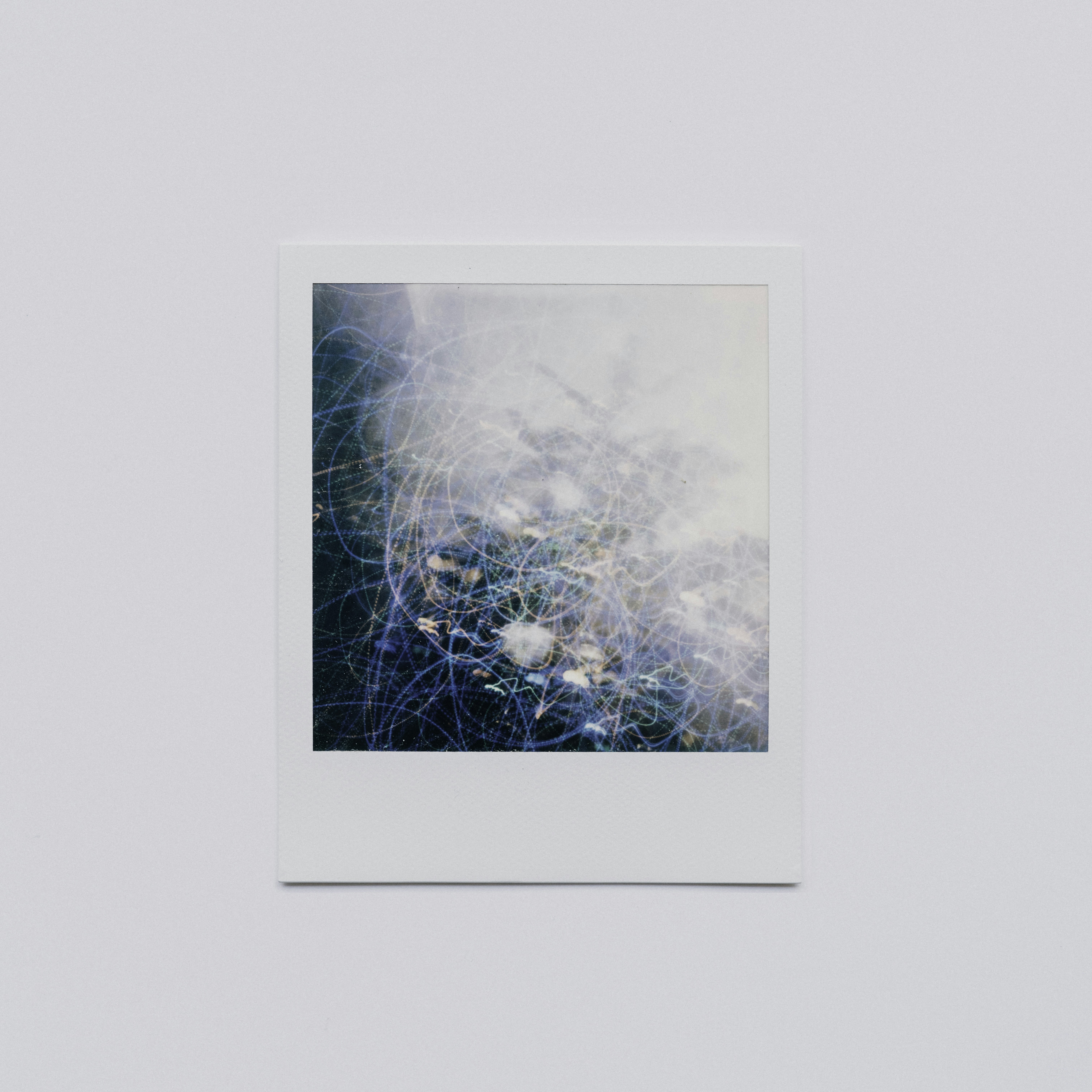 Polaroid Photos Pictures | Download Free Images on Unsplash