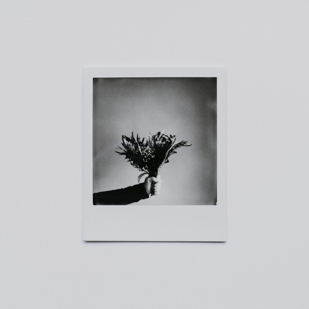 Plus de 750 images Polaroid [HQ] | Télécharger des images gratuites sur ...