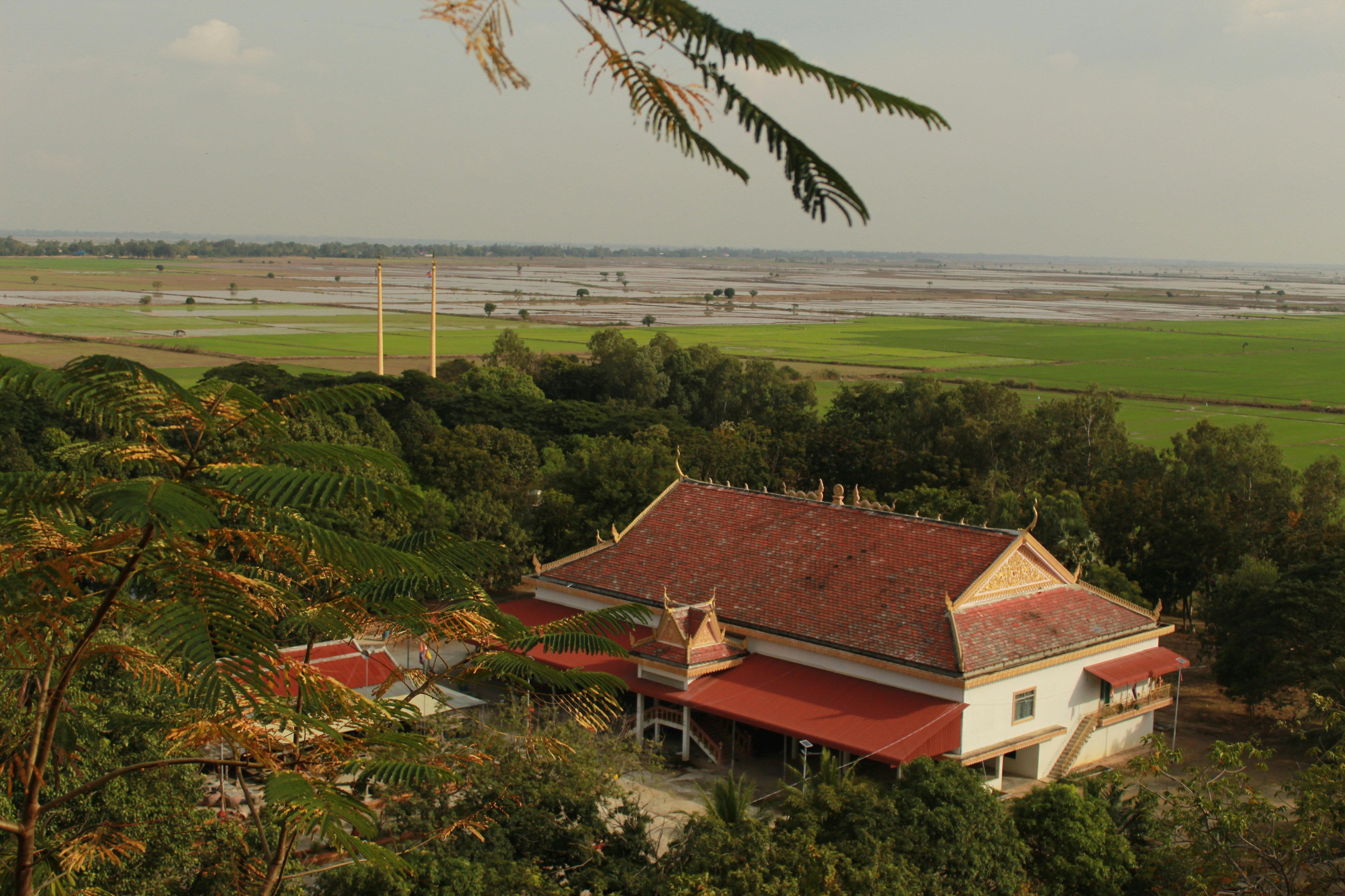 Traditional building nestled among lush greenery with expansive fields in the background. The scene showcases a blend of cultural architecture and natural beauty.