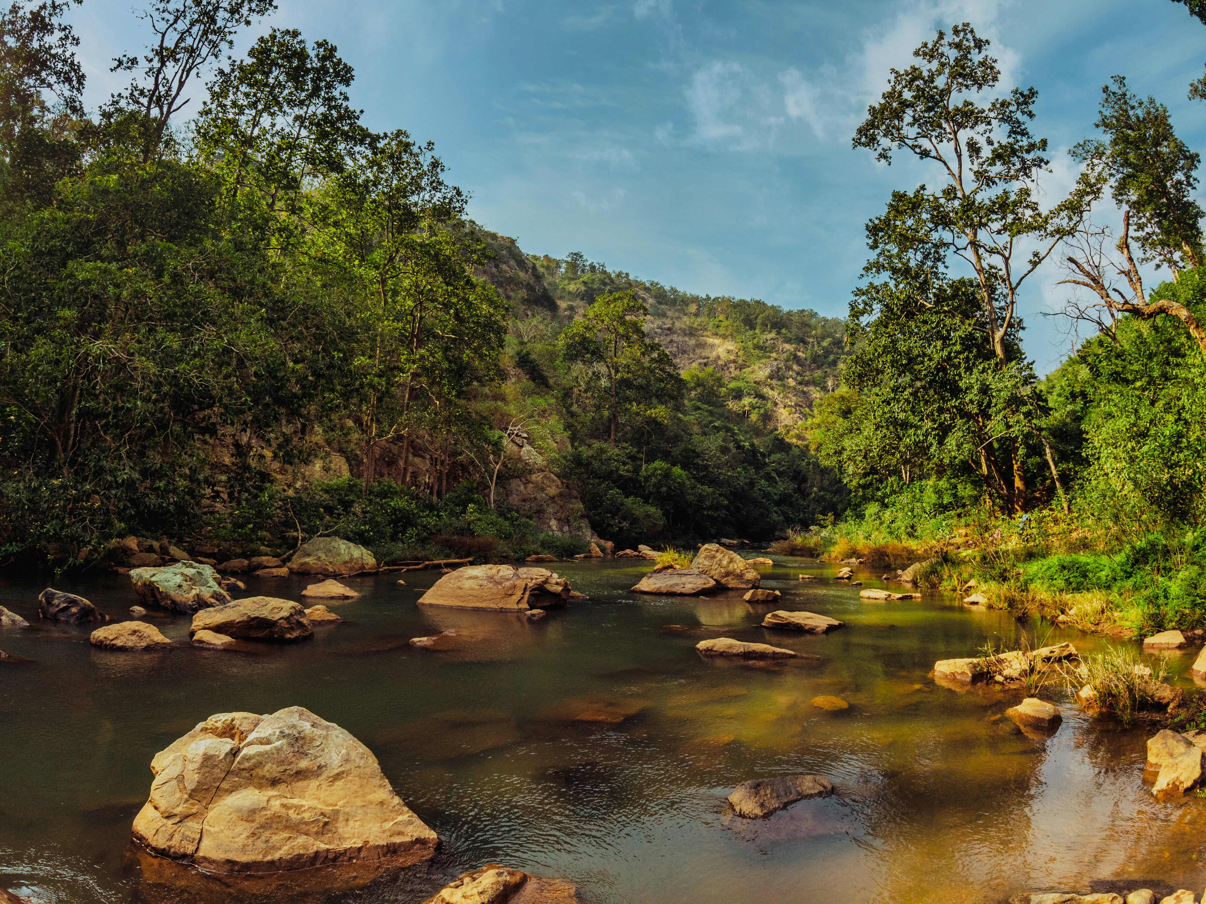 Gentle river winding through lush green landscape with rocky outcrops and towering trees under a bright sky.