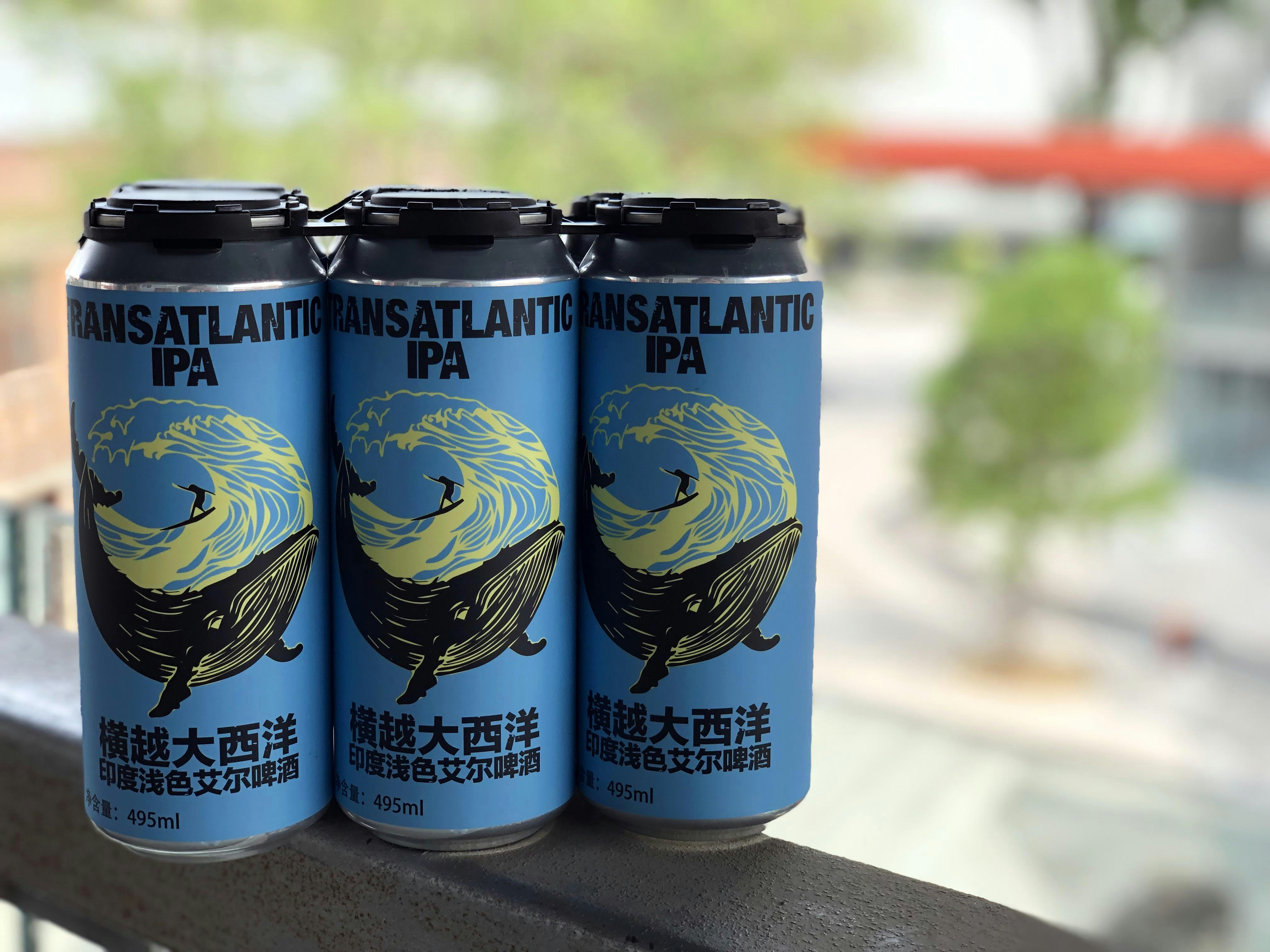 Trans Atlantic IPA Wave Trio: Blue Cans in Focus on a Rail