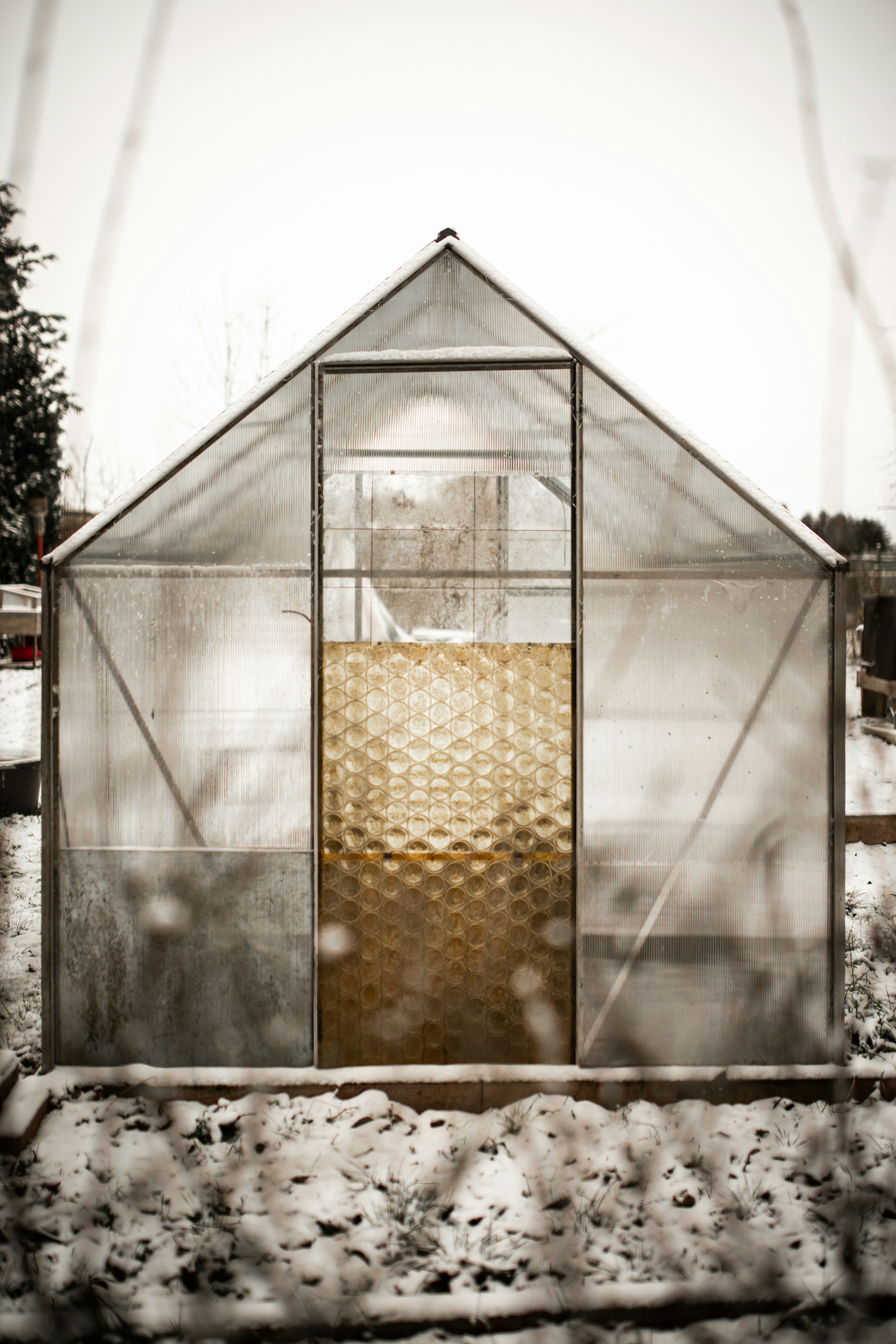 A greenhouse with transparent panels and a honeycomb-patterned interior, nestled in a snowy landscape.
