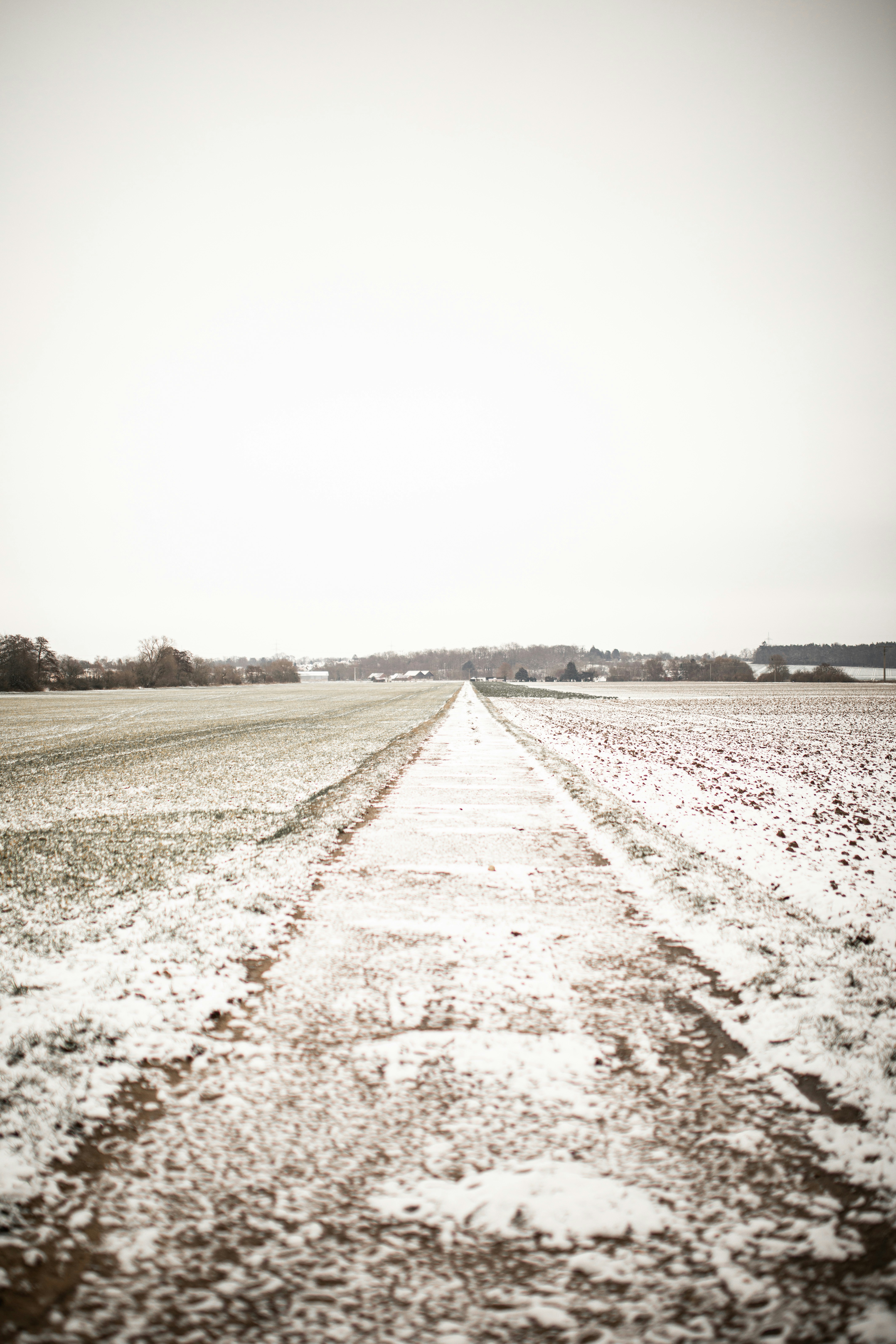 Vanishing Line: Snow-Swept Road Toward a Distant Farm