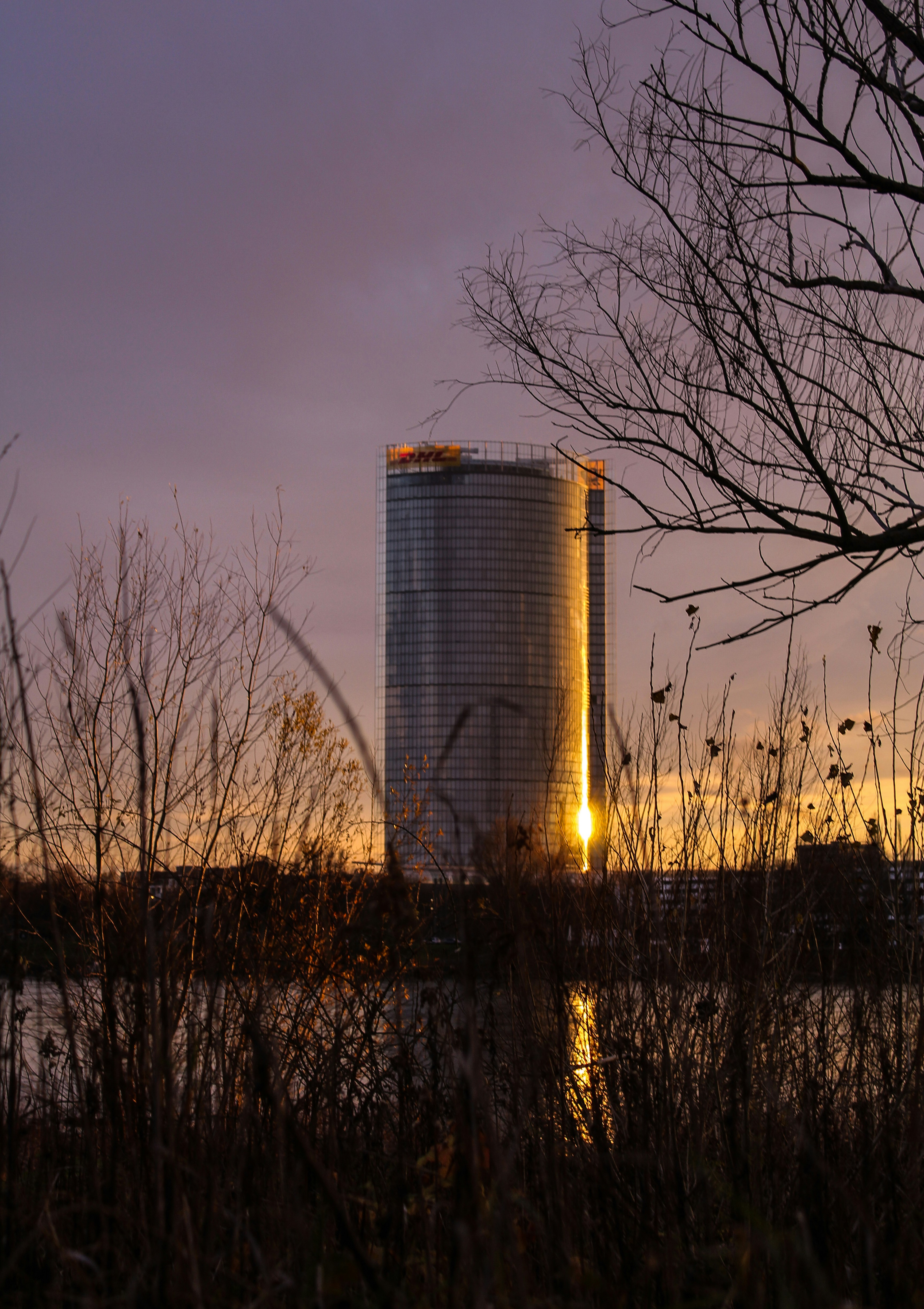 A sleek skyscraper reflects the golden hues of a sunset, framed by silhouetted branches and tall grasses. The scene captures the contrast between nature and urban architecture.