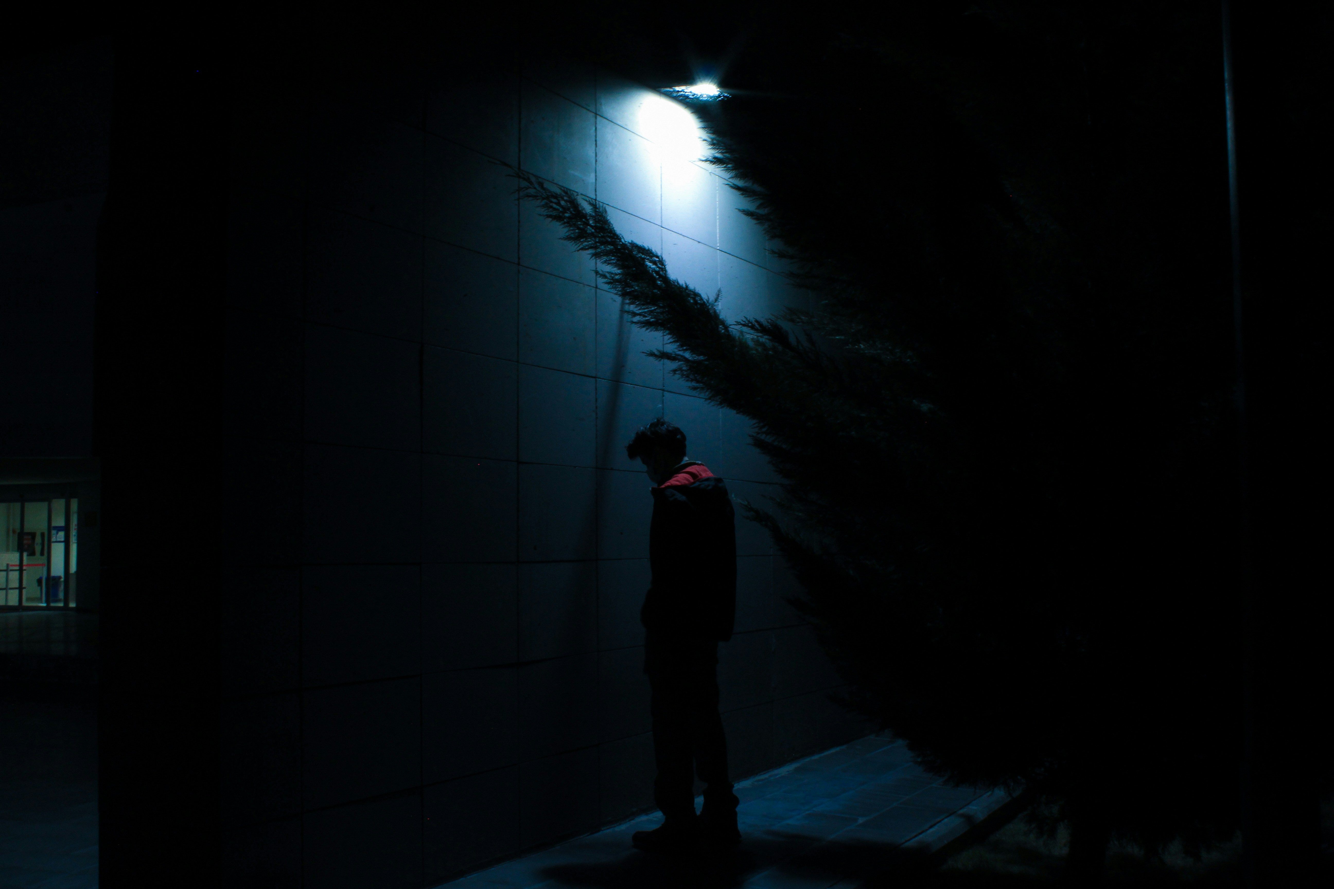 A figure stands in solitude beneath a stark light, surrounded by dark shadows and foliage. The contrast highlights the mood of introspection.