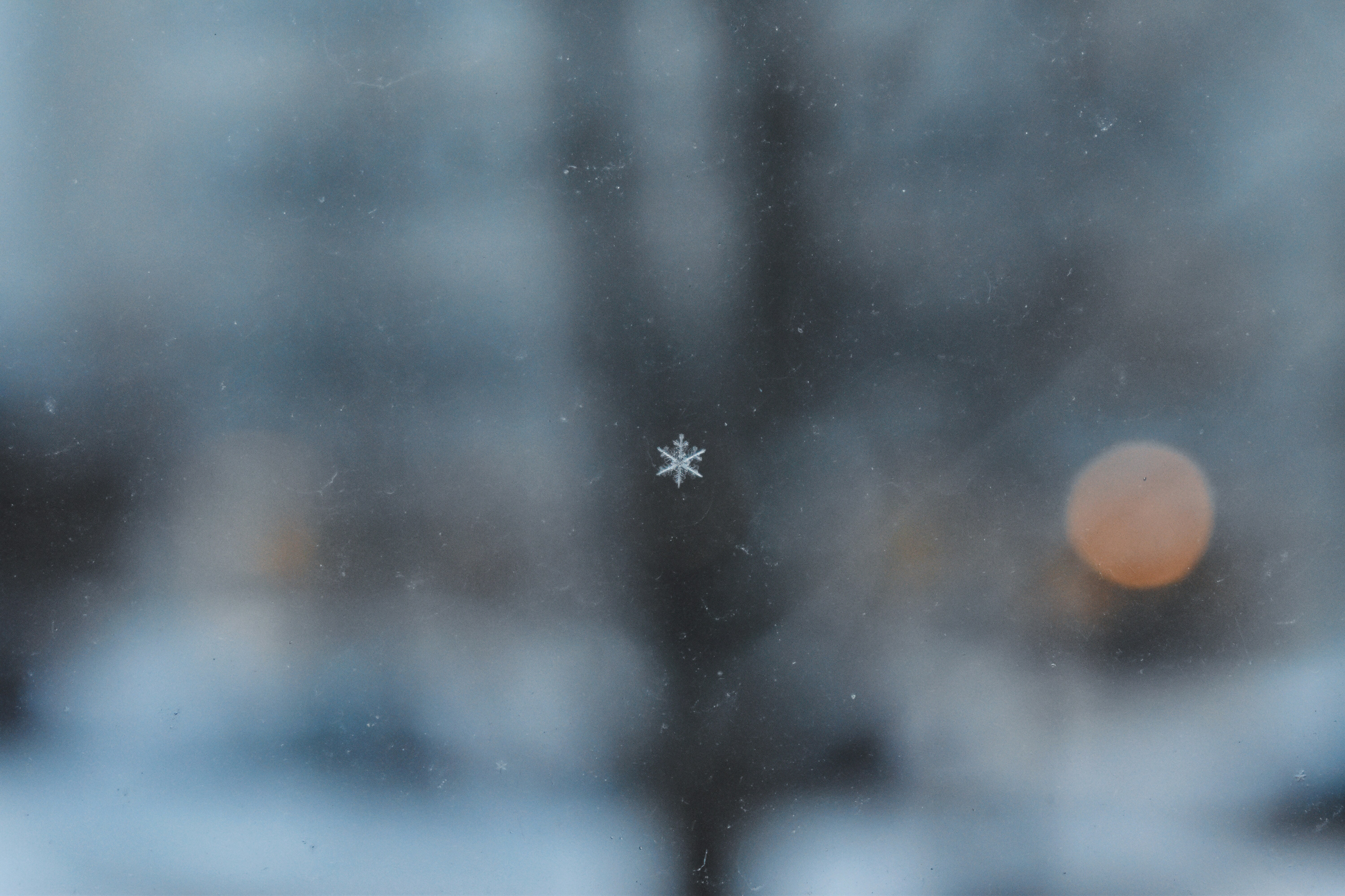 900+ Snowflake Background Images: Download HD Backgrounds on Unsplash