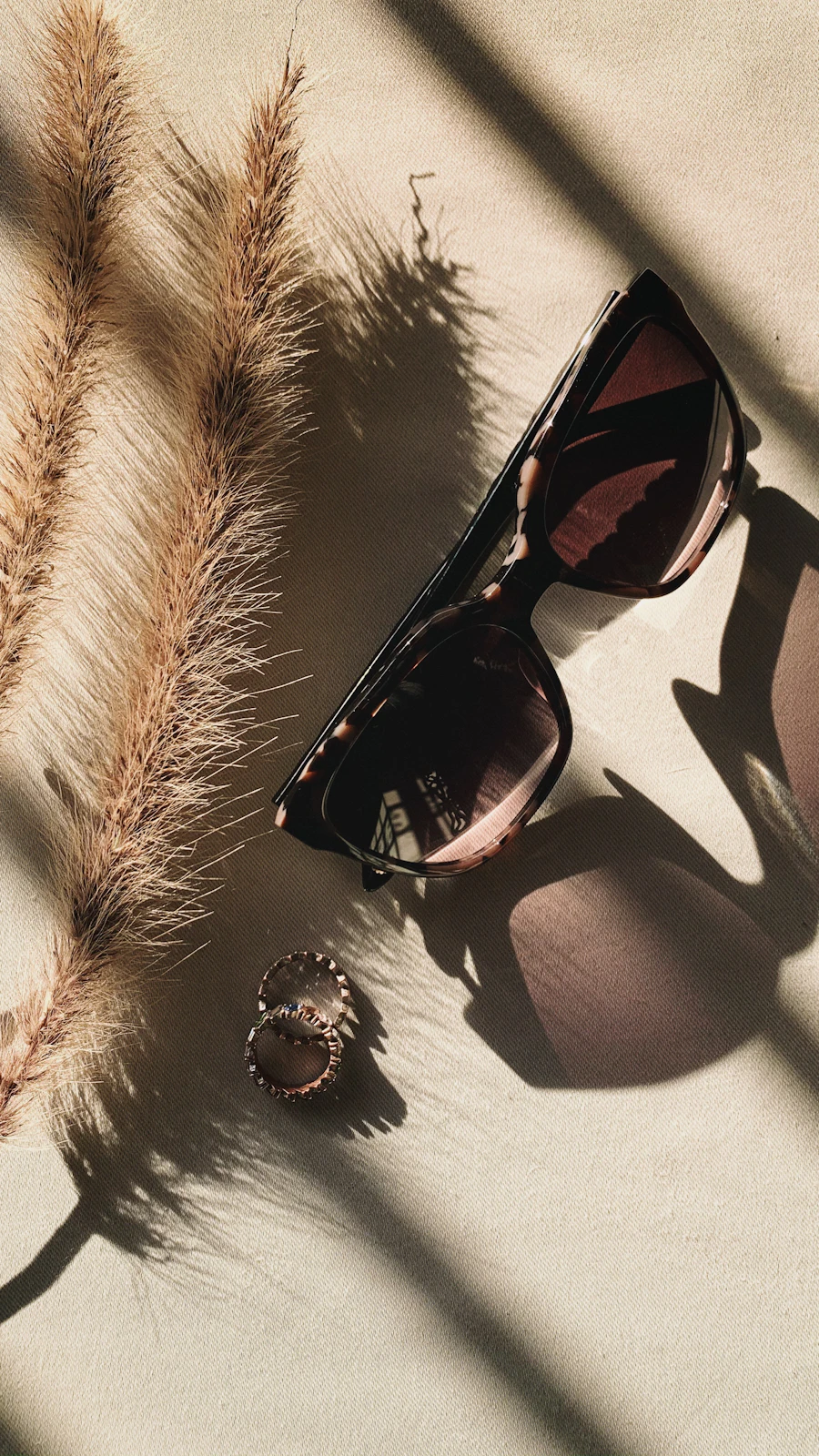 Tortoiseshell sunglasses, a pair of rings, and feathery dried plumes arranged on a beige fabric surface with diagonal sunlight and soft shadows.