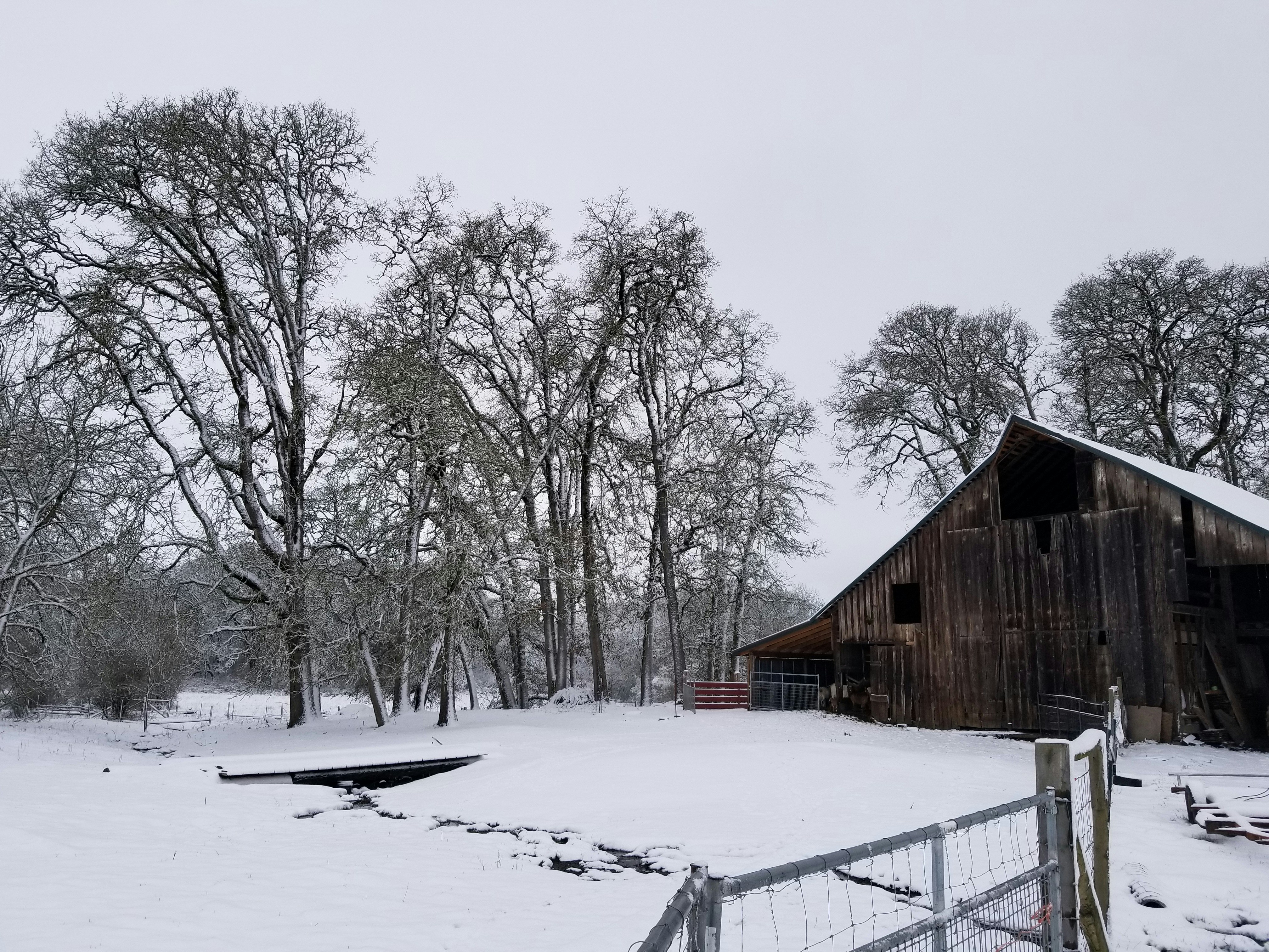 Weathered barn nestled in a snowy landscape, surrounded by frost-covered trees. A tranquil winter scene unfolds.