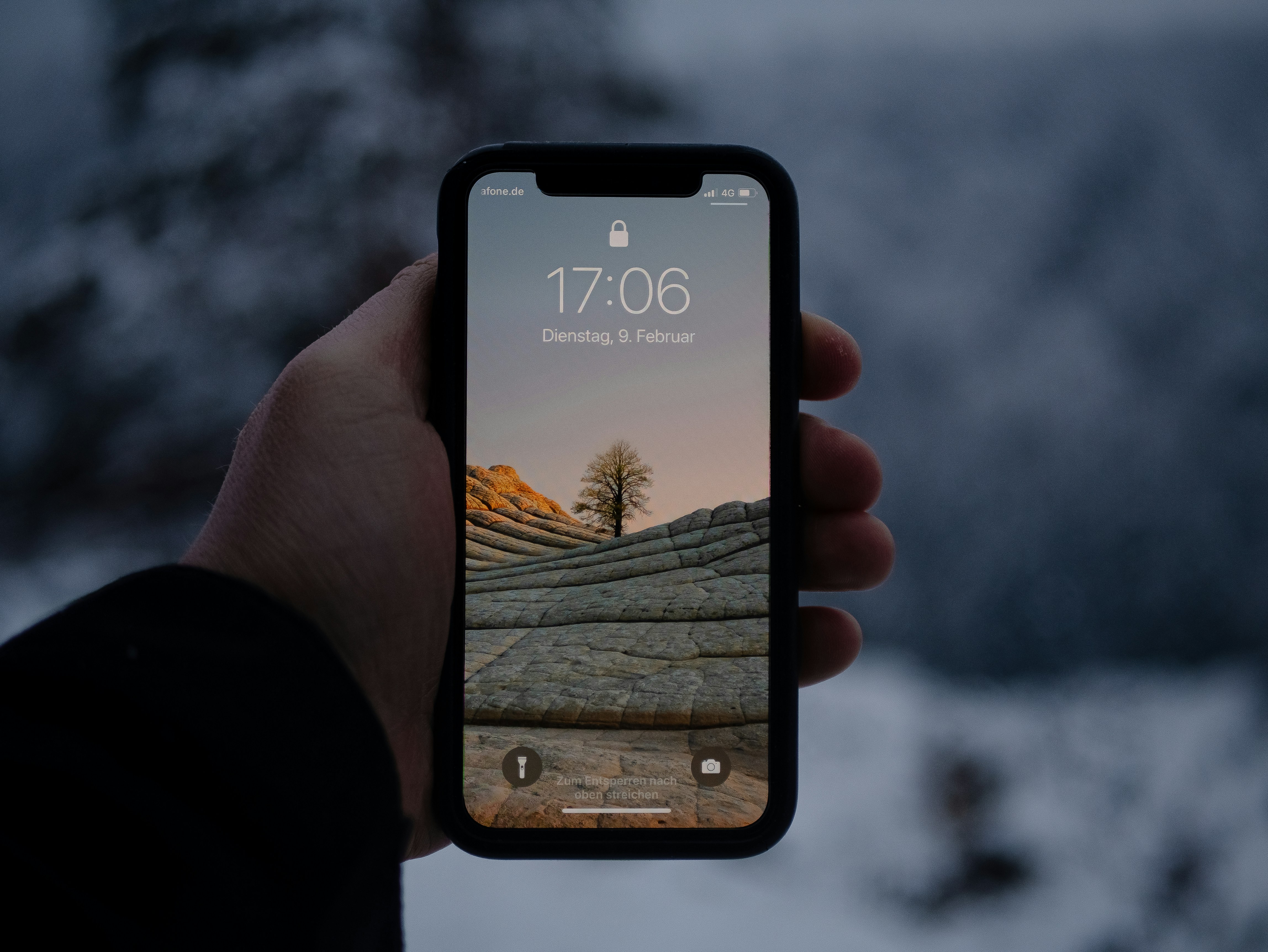 Nature's Reflection in Digital Frame