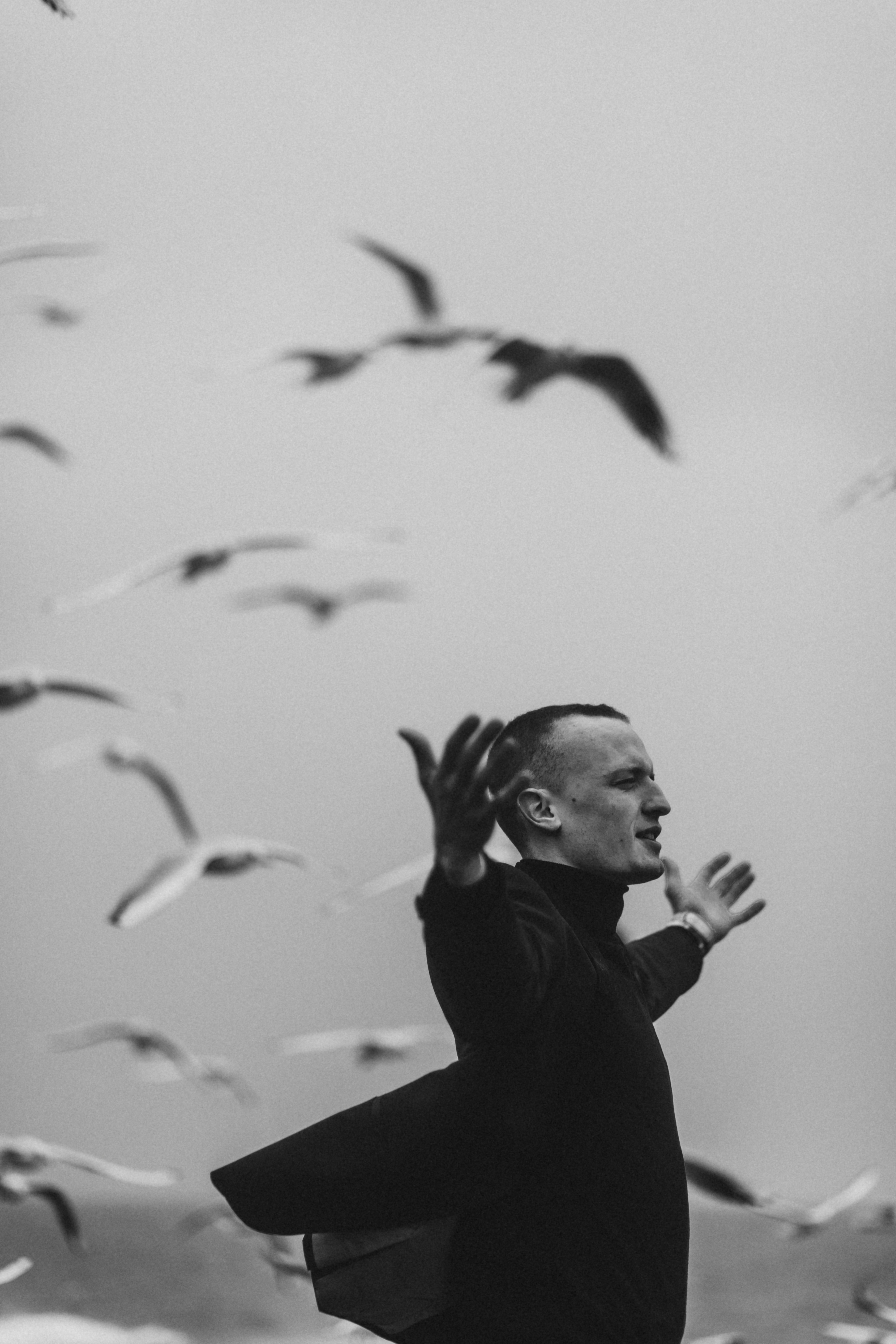 Rally of Wings: A Man in Black Amid a Swarm of Seabirds