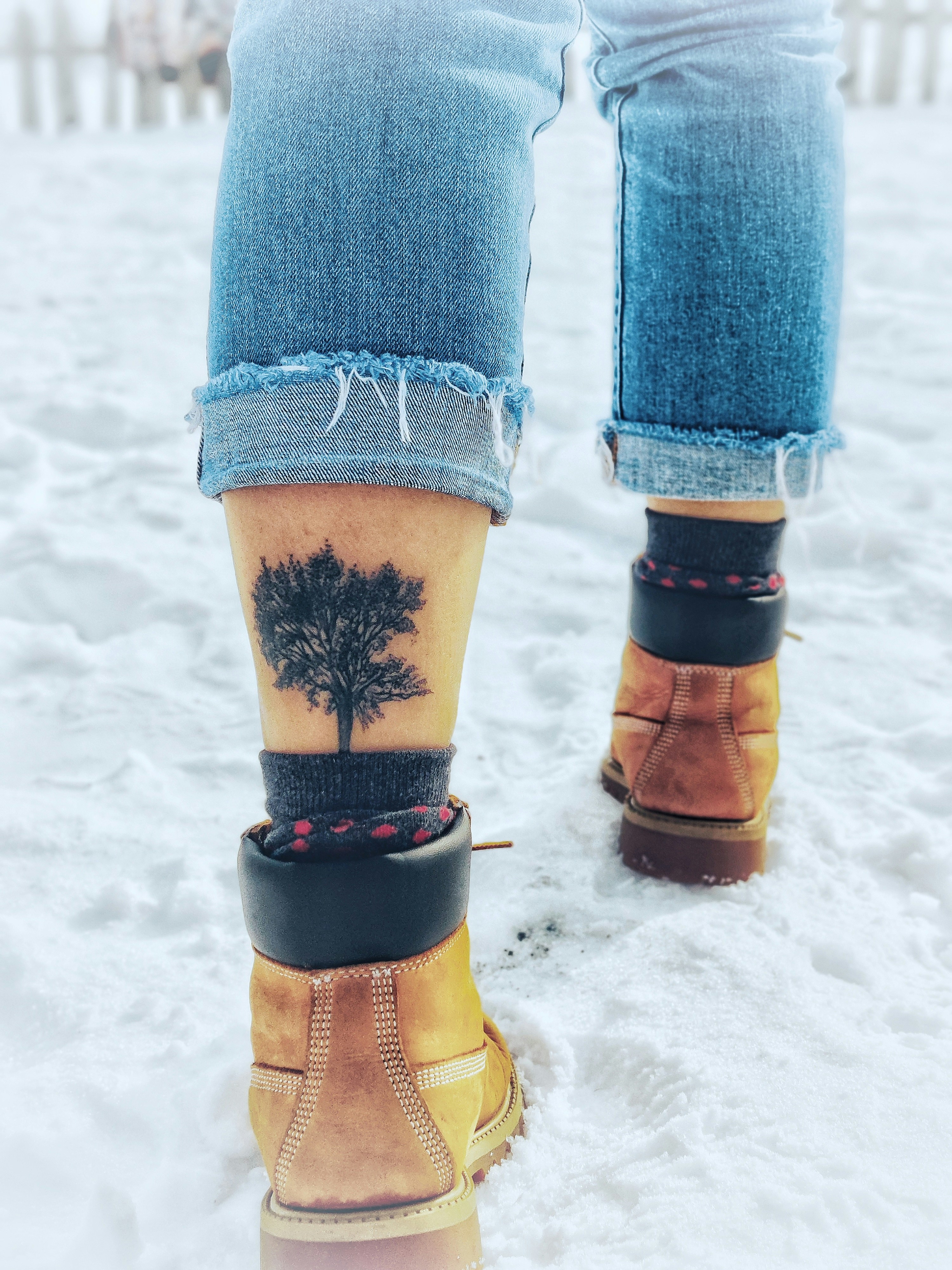 Tattooed Tree in Snow: A Step into the Quiet Snowfield