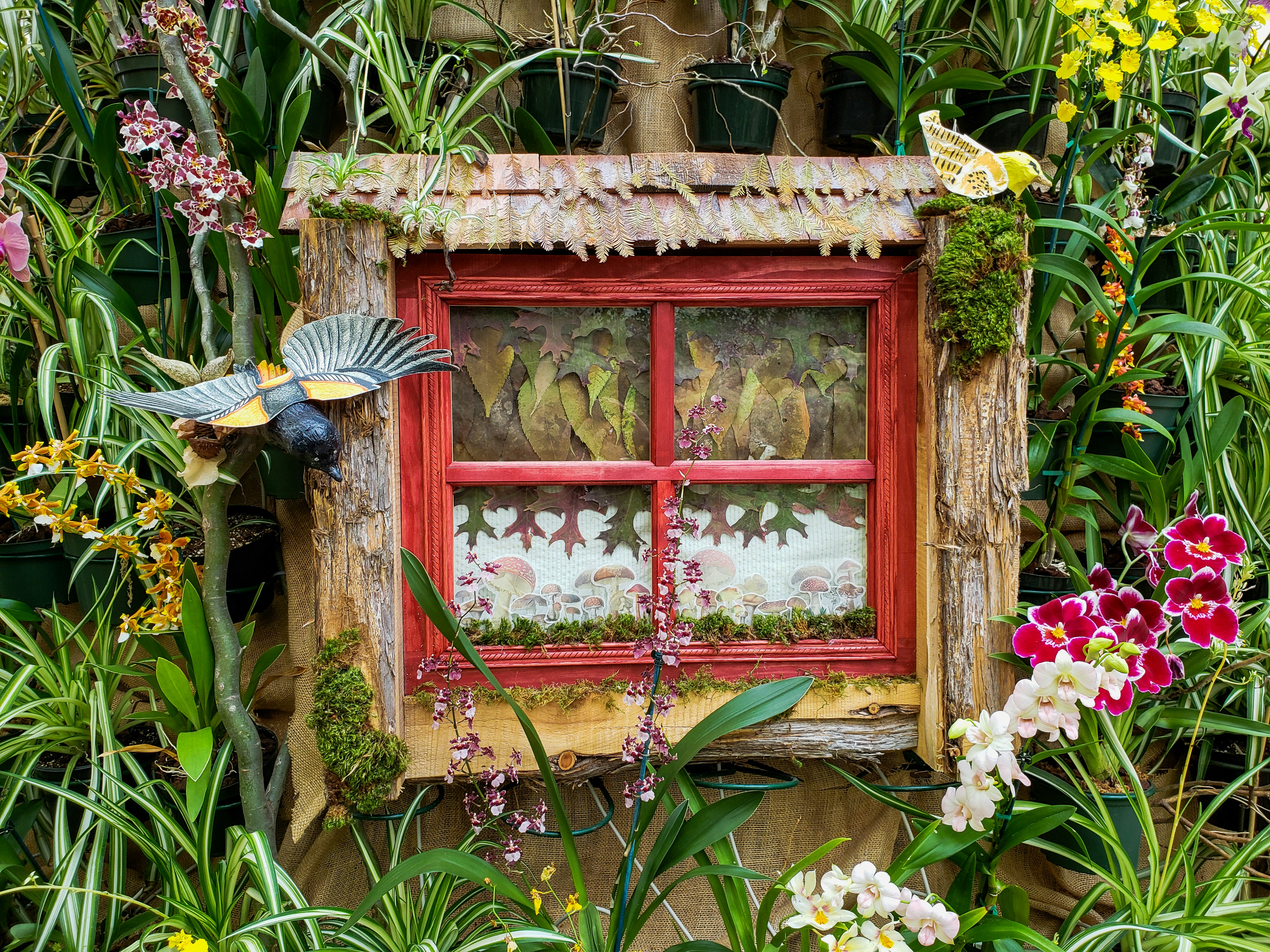 Brown wooden framed glass window photo – Free Lauritzen gardens ...