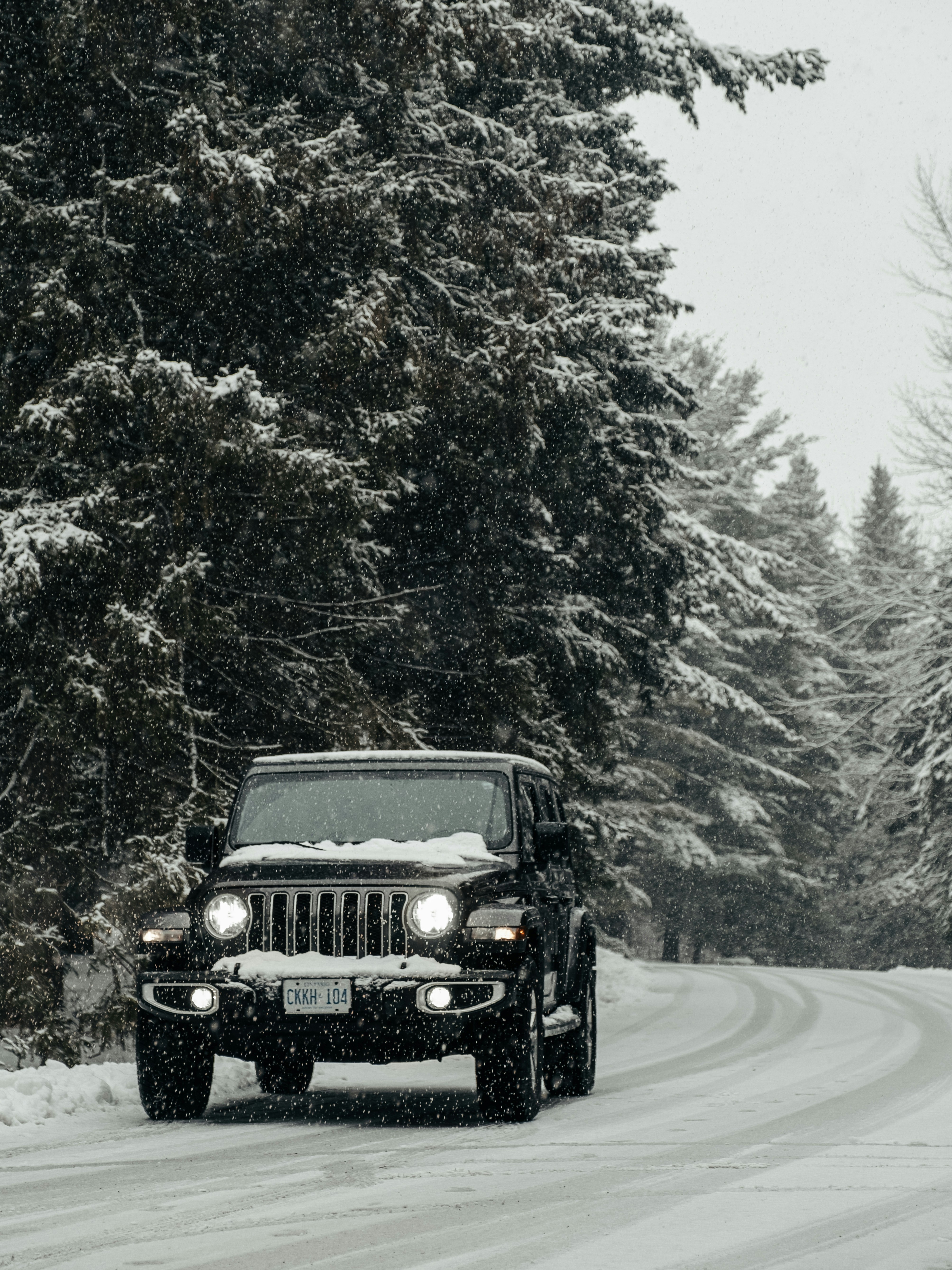 A black SUV navigating a snow-covered road, surrounded by tall evergreen trees blanketed in white. The scene captures the essence of winter exploration.