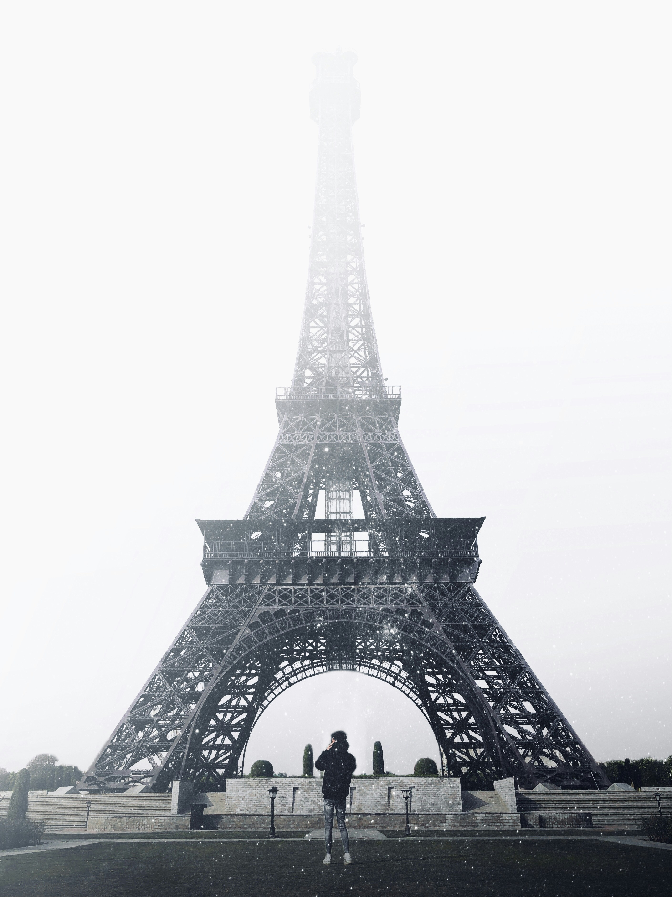 Veiled Iron: A Lone Silhouette Grounds the Fog-Wrapped Eiffel Tower