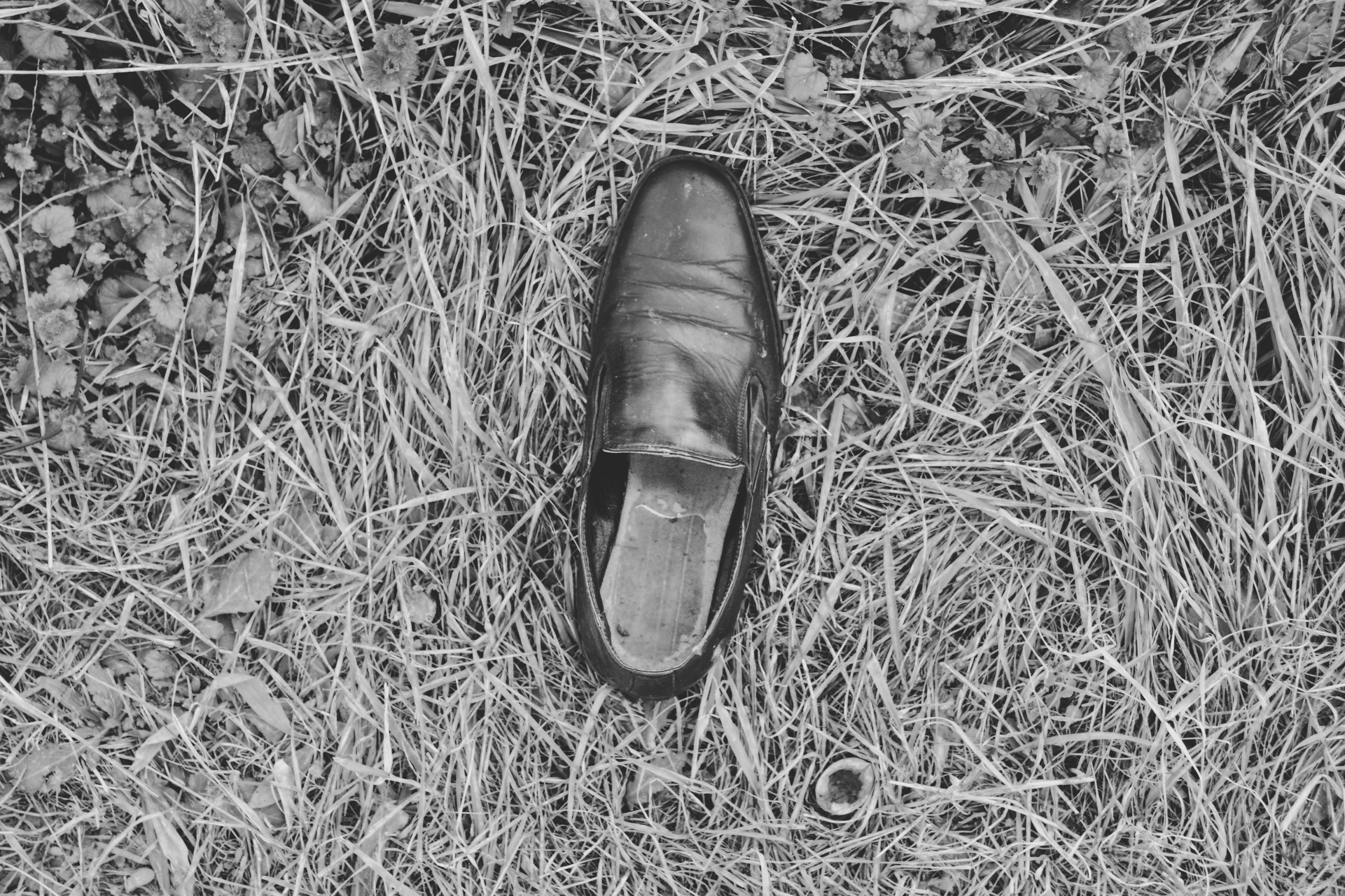 black leather shoe on grass