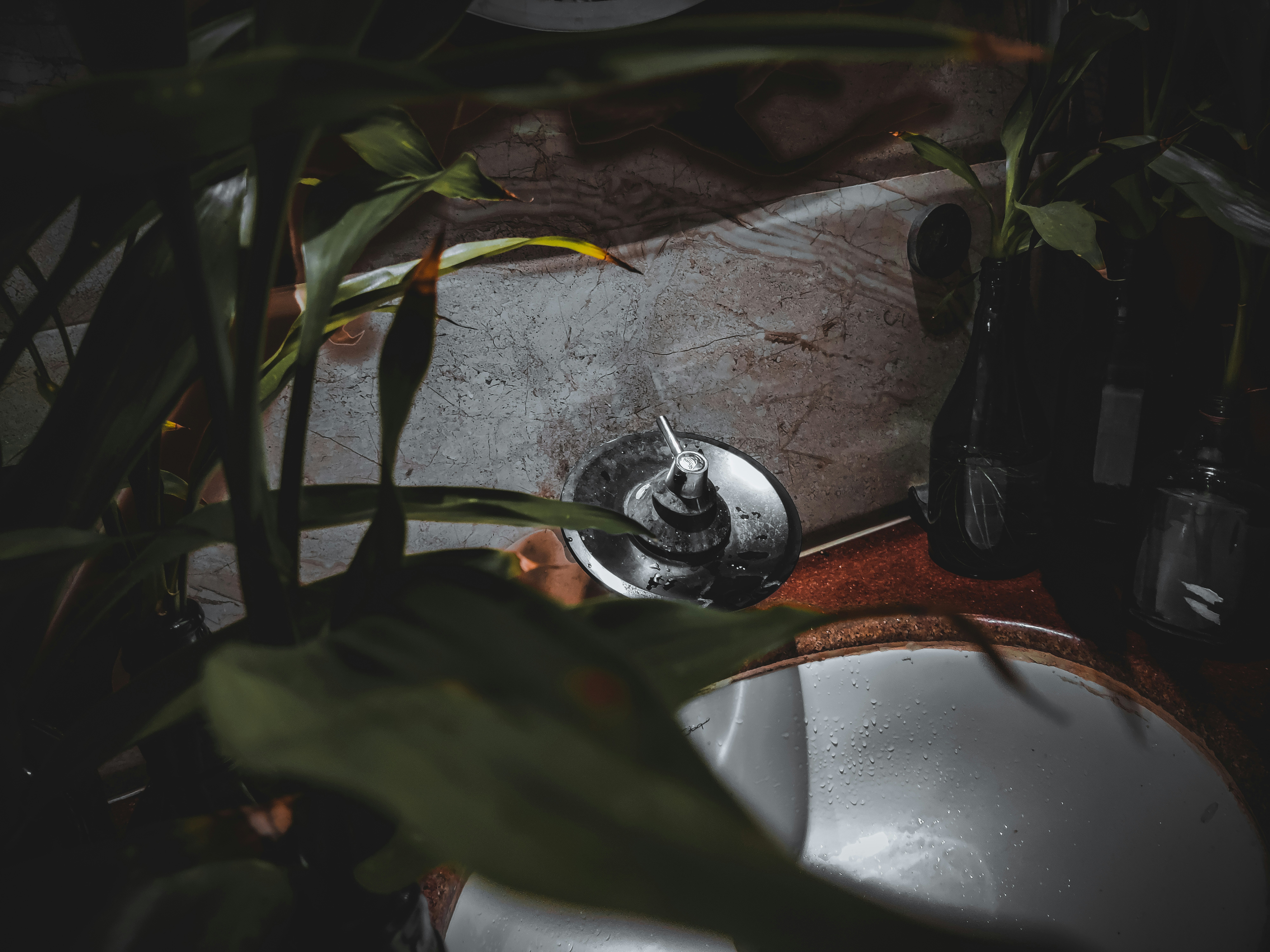 Water faucet surrounded by lush green plants and a marble backdrop, creating a tranquil atmosphere.