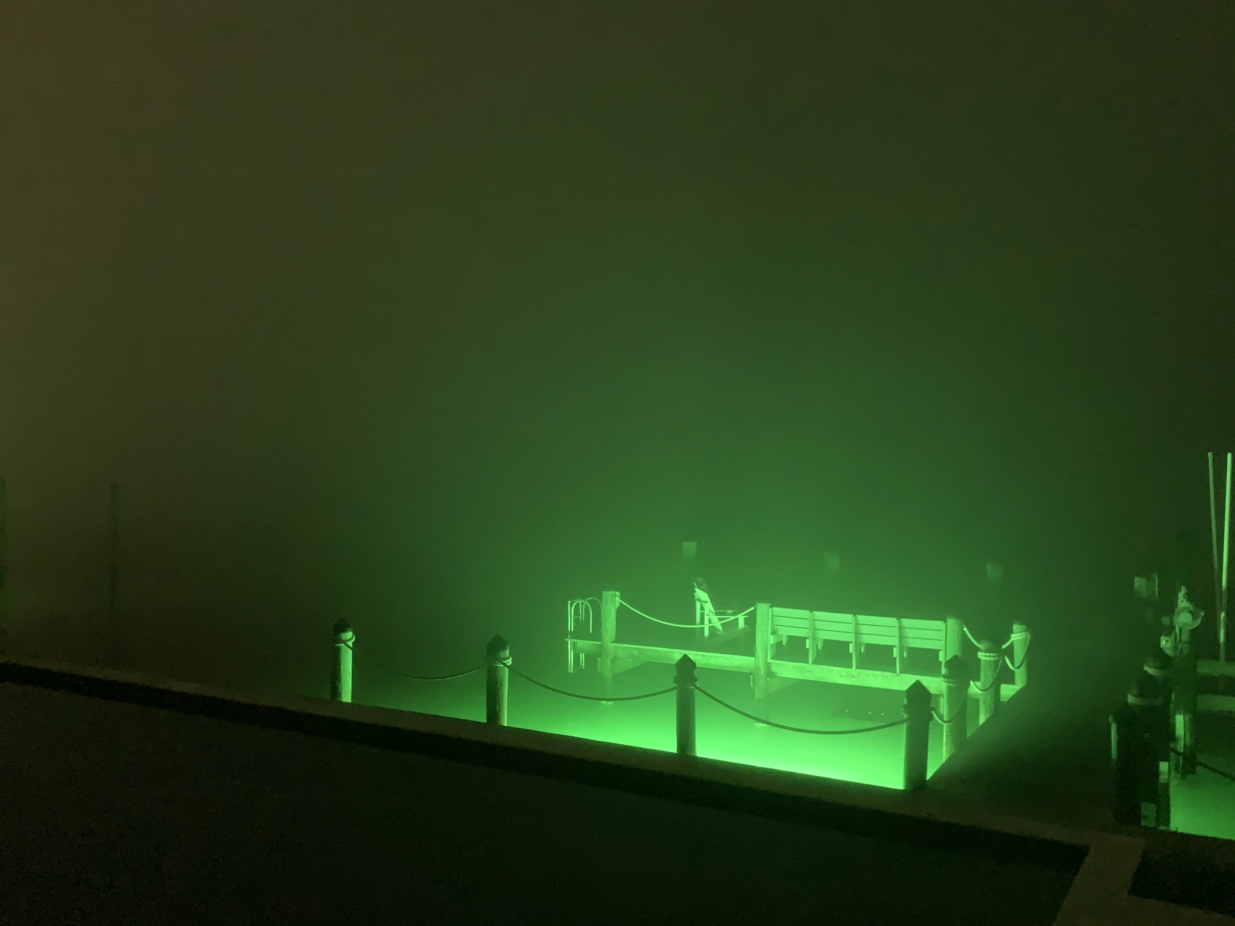 Sheila Jellison (@mimaworld) | Communauté photos Unsplash