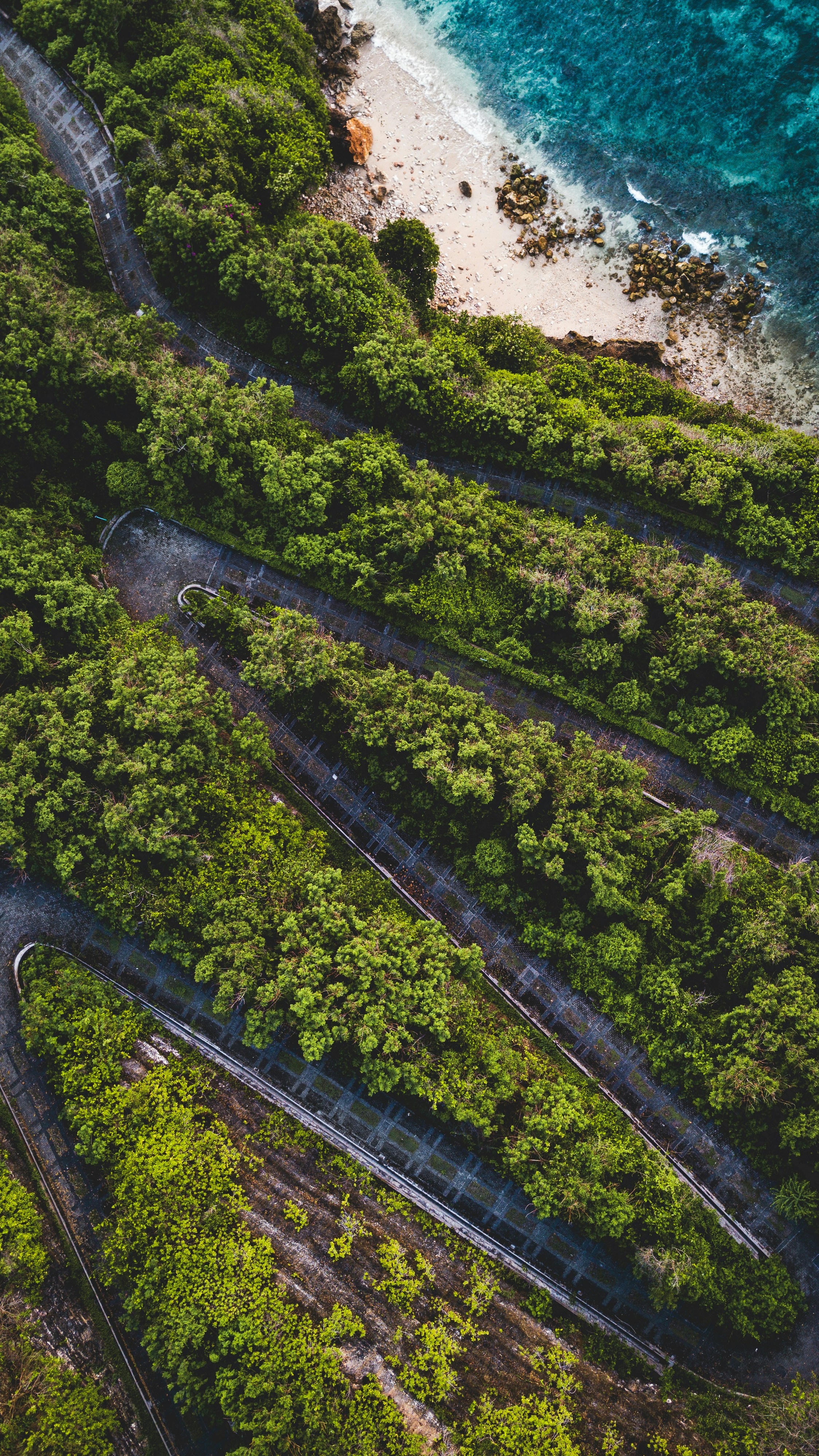 Emerald Ribbon: An Aerial Serpentine Through Coastal Forest