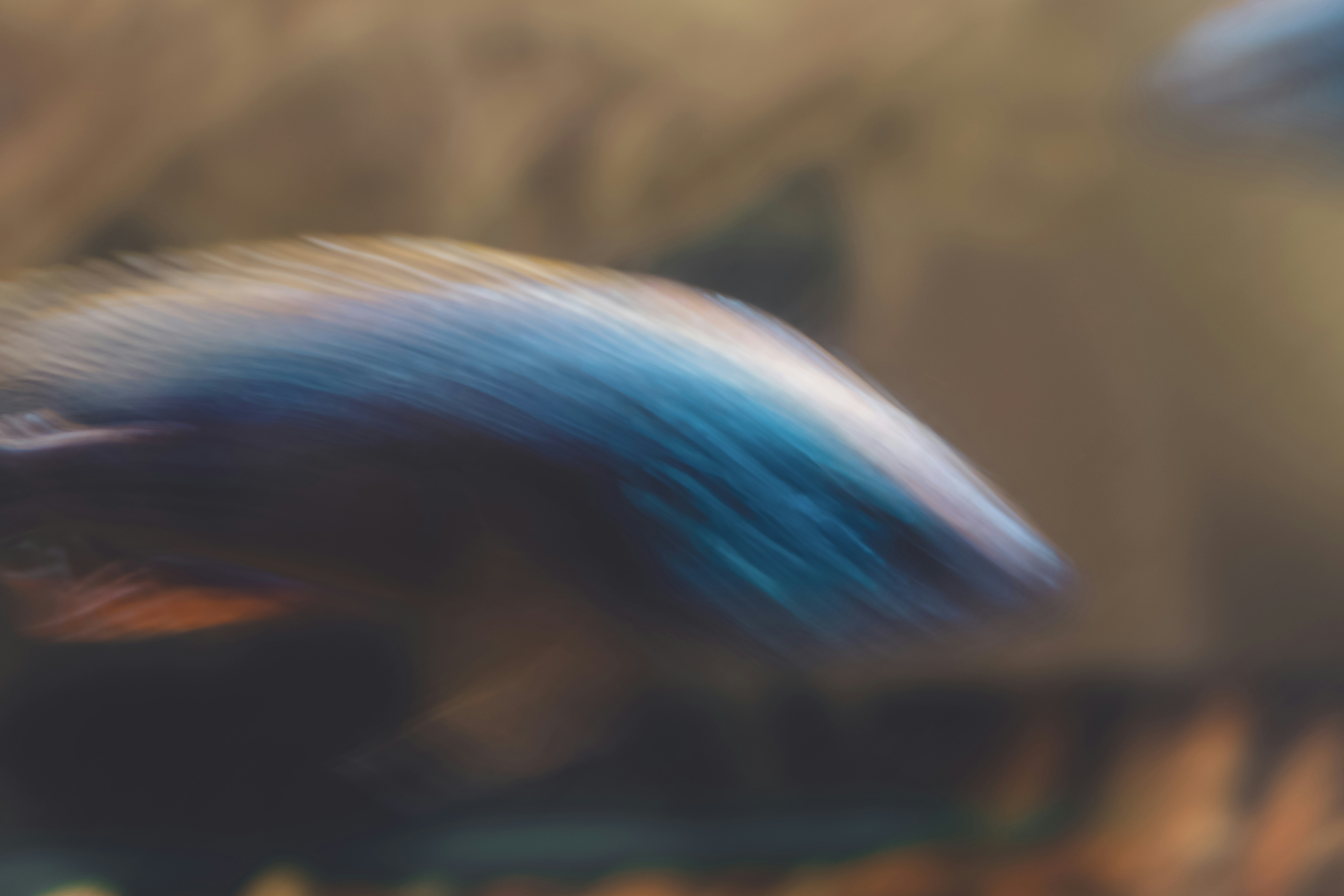 Blue Arc in Motion: A Blur-Swept Moment of Color
