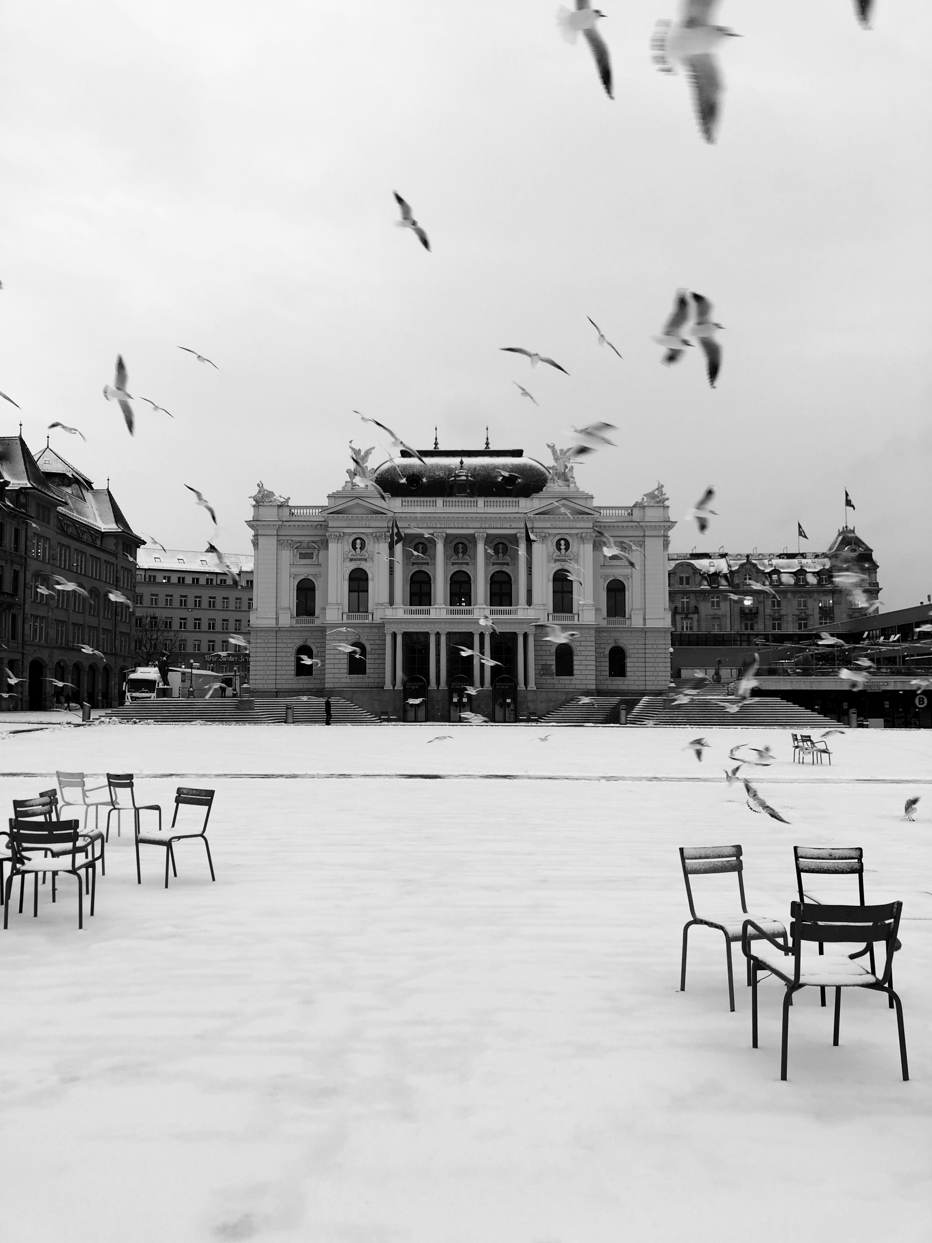 Zürich's Sechseläutenplatz with birds and chairs.