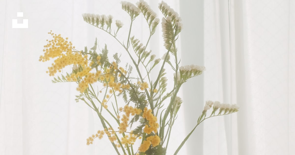White And Green Flower In Clear Glass Vase Photo Free Brown Image On