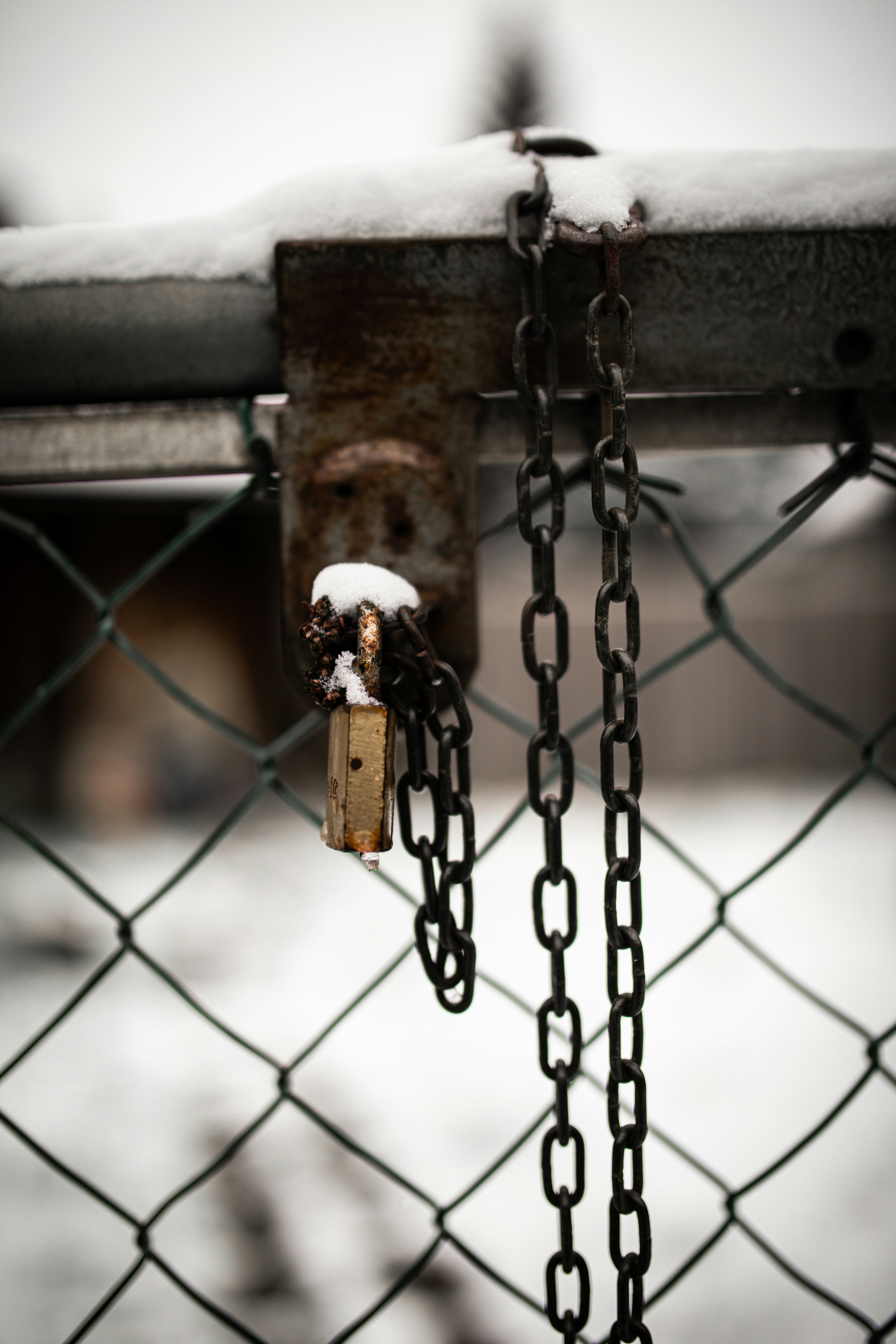 A rusty padlock secured by chains hangs from a snow-covered gate, symbolizing isolation in a winter landscape.