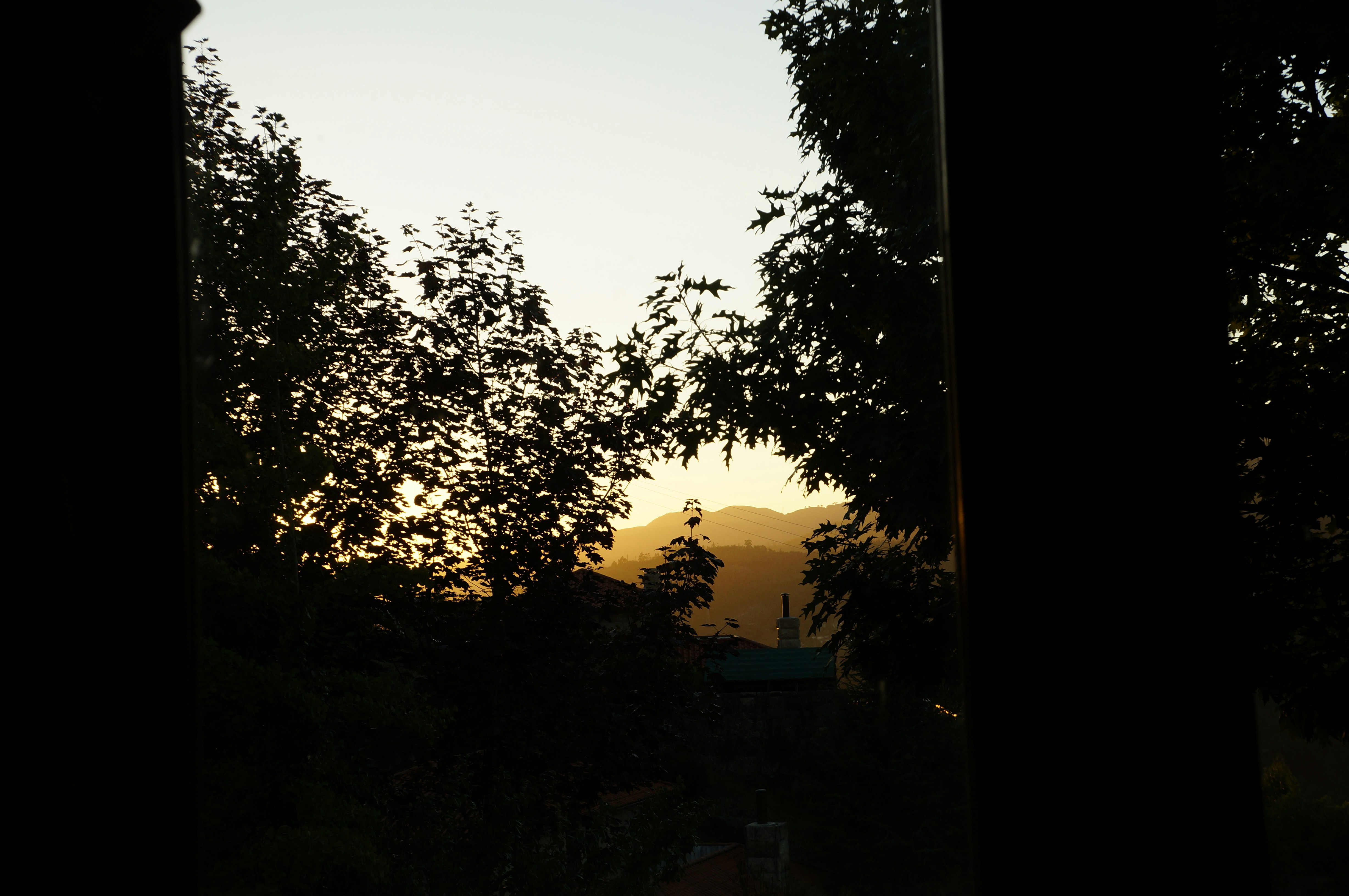 Silhouetted trees frame a soft sunrise, casting gentle hues over distant mountains. The scene evokes a tranquil morning atmosphere.