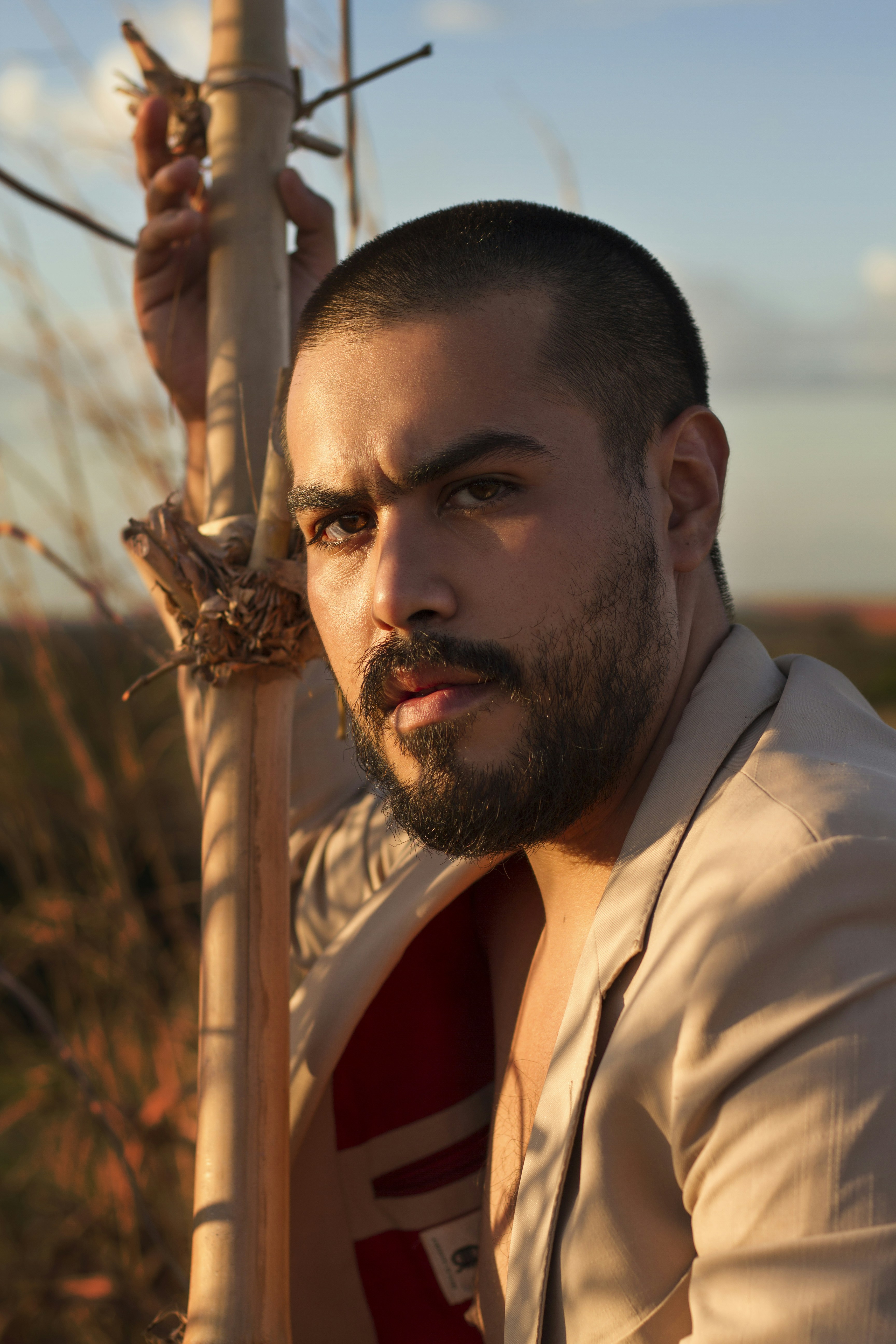 Golden Hour Close-Up: Portrait Anchored by a Dried Reed