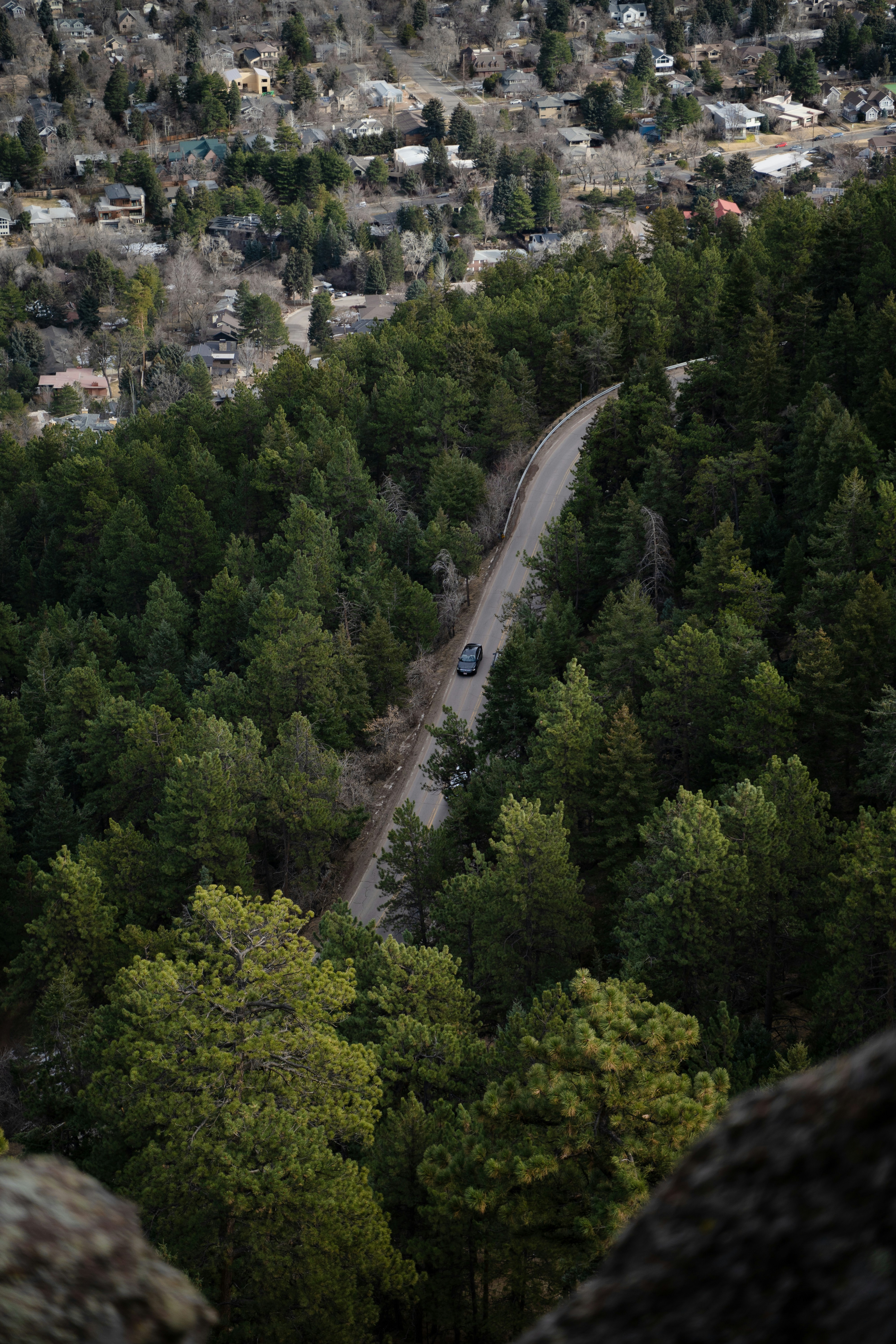 Green trees near city buildings during daytime photo – Free Boulder ...