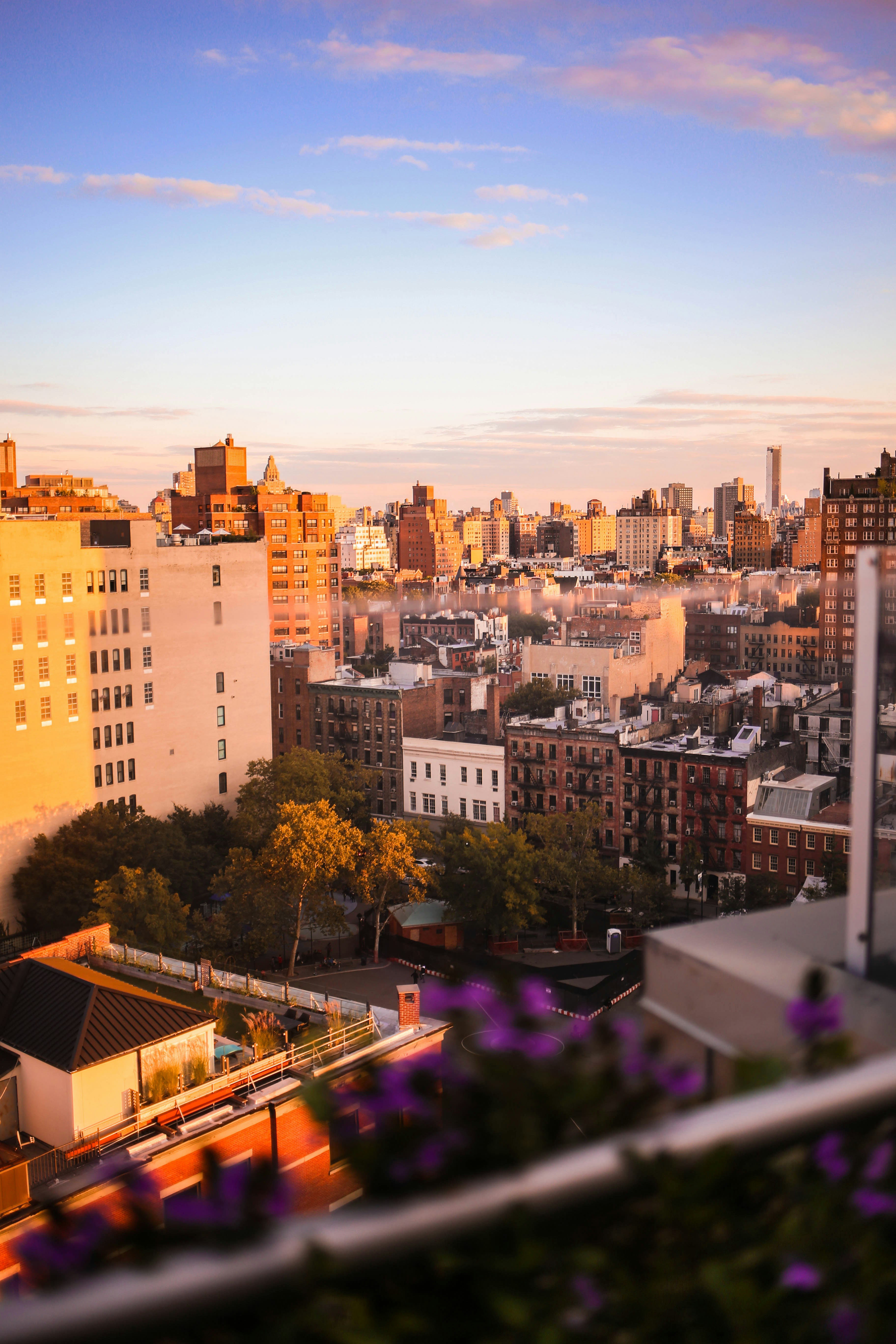 Golden Hour Rooftops: Velvet Foreground, City in Bloom