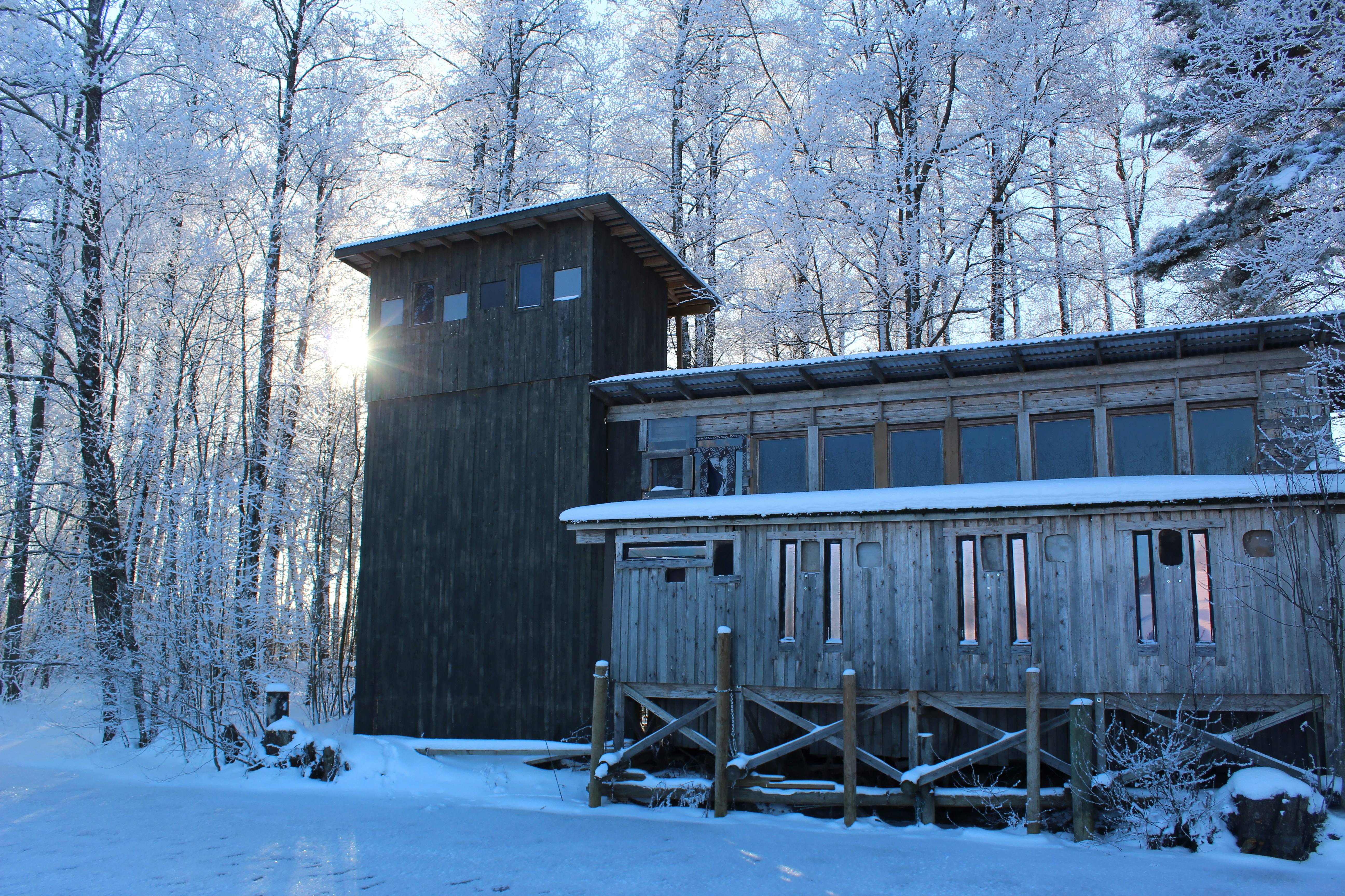 A rustic wooden structure partially hidden by frosty trees, bathed in soft winter light. The scene evokes a sense of tranquility and solitude.