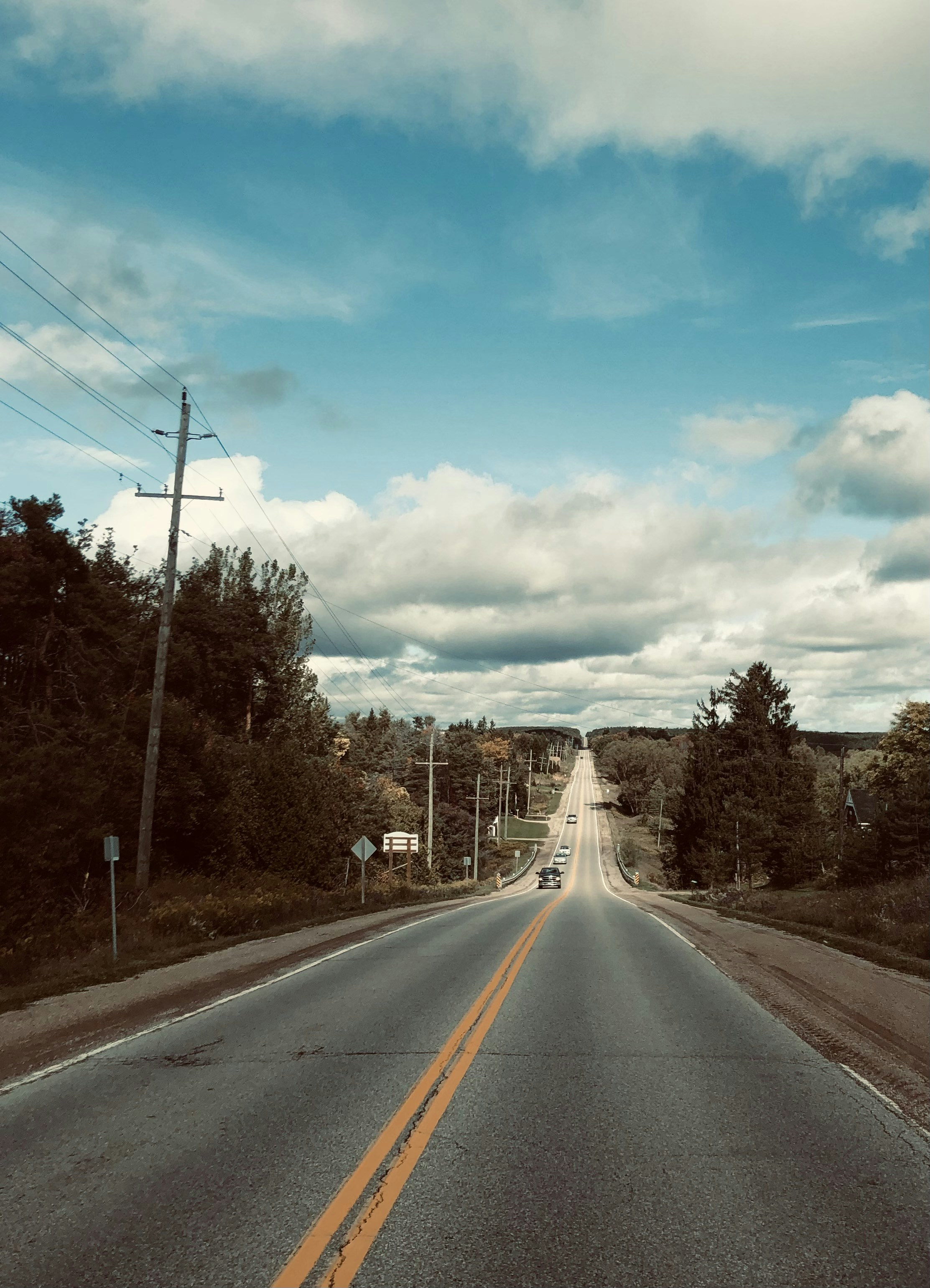 gray concrete road between trees under blue sky and white clouds during daytime