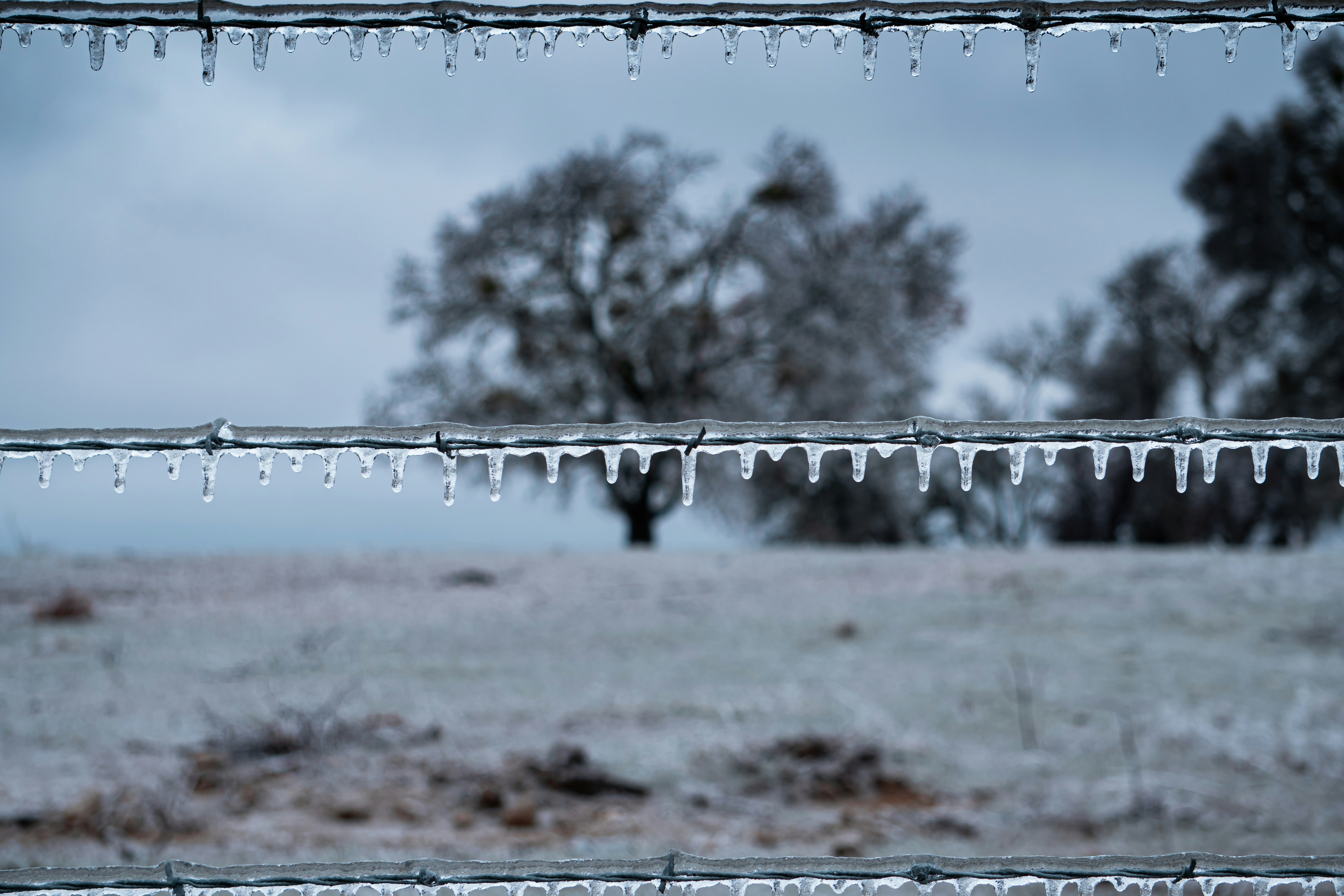 Photo by Dylan Hunter