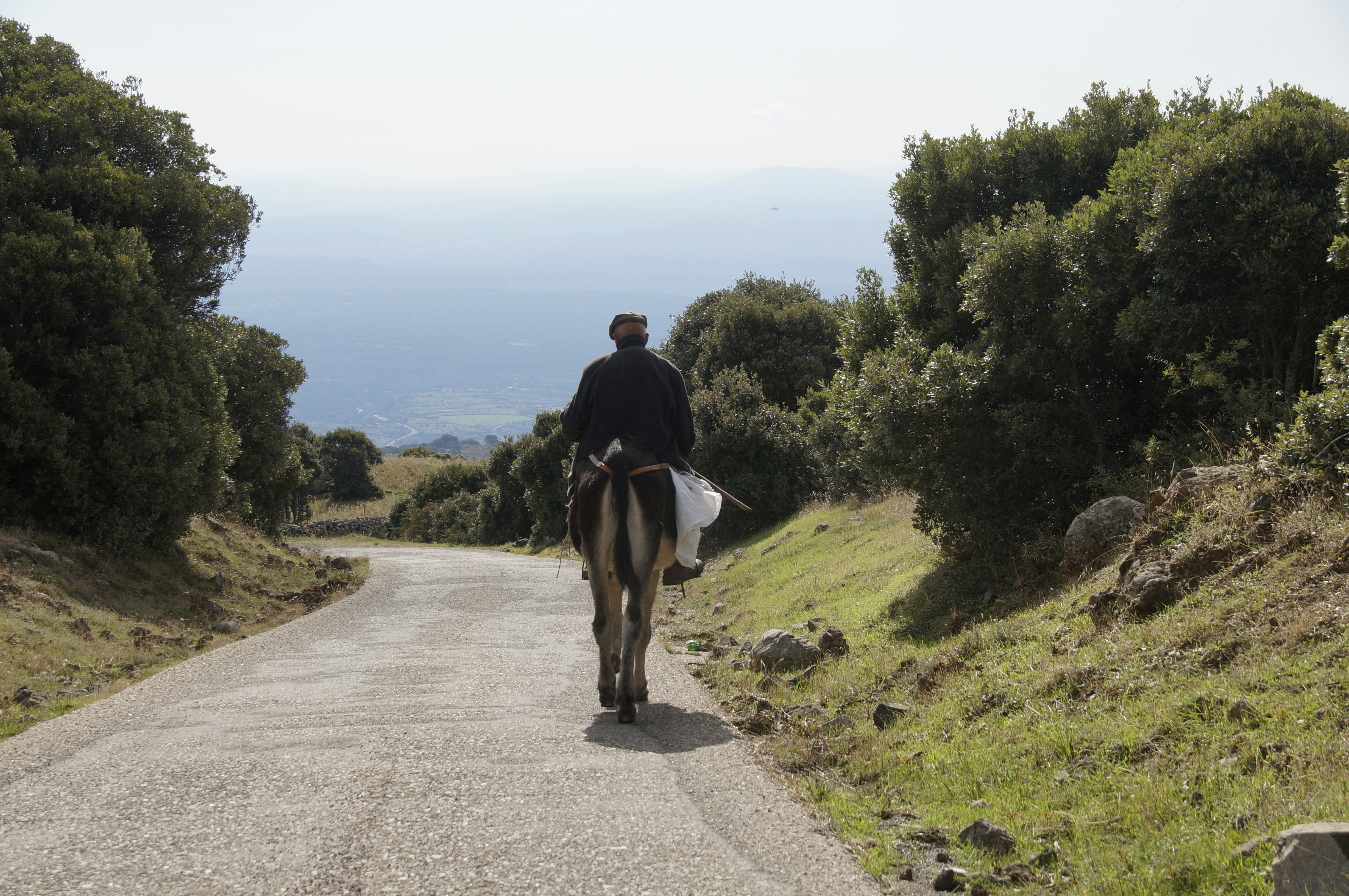Horizonbound: A Lone Rider on a Quiet Hilltop Road